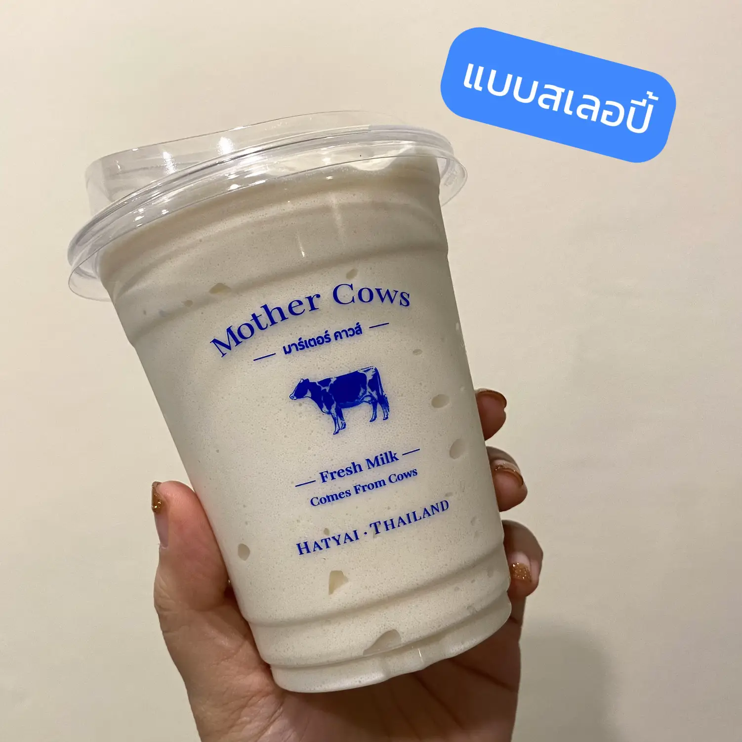 Mother Cows ร้านนมชื่อดังหาดใหญ่ บุกเมืองทองธานีแล้ว!! | แกลเลอรีที่ ...