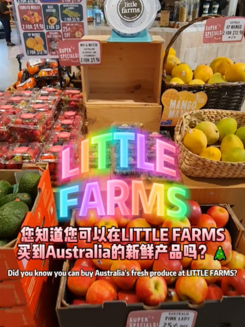 Little Farms First ever Christmas Market is here | Video published by ⭐ ...
