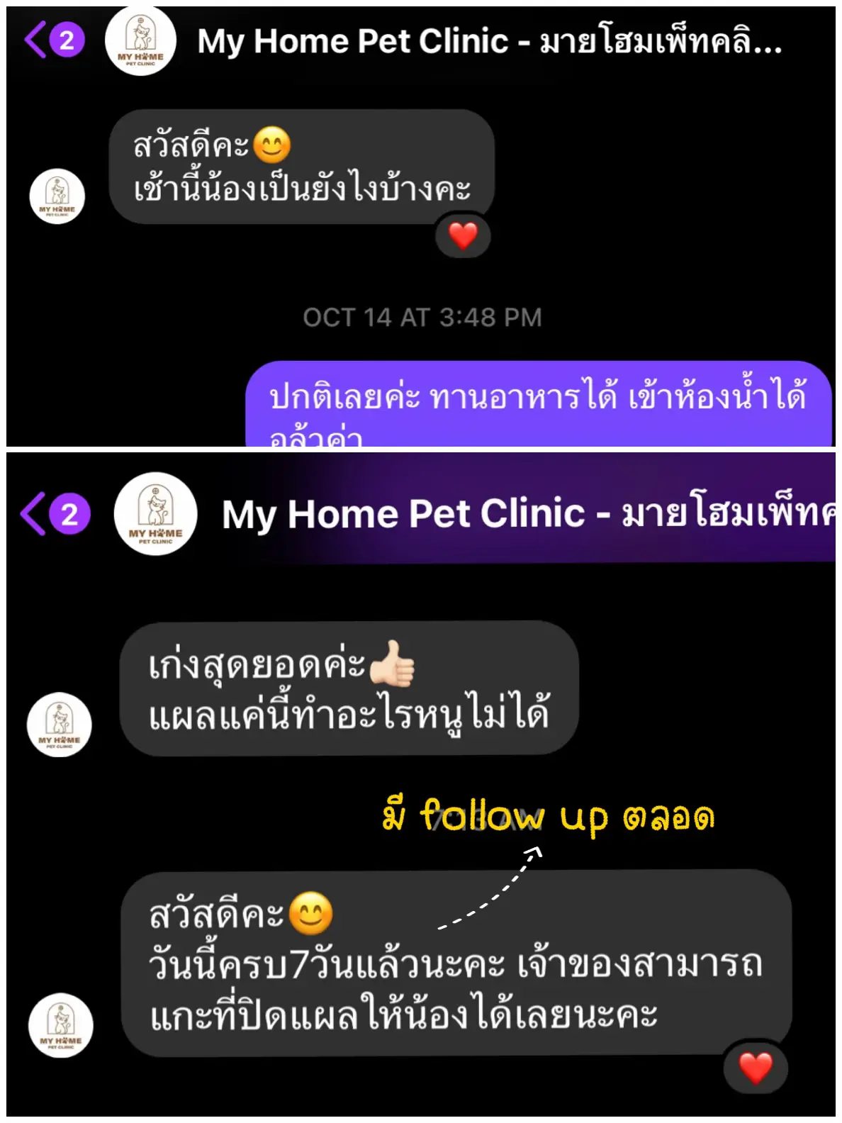 พิกัดทำหมันแมวราคาถูก😍 | แกลเลอรีที่โพสต์โดย mhai | Lemon8