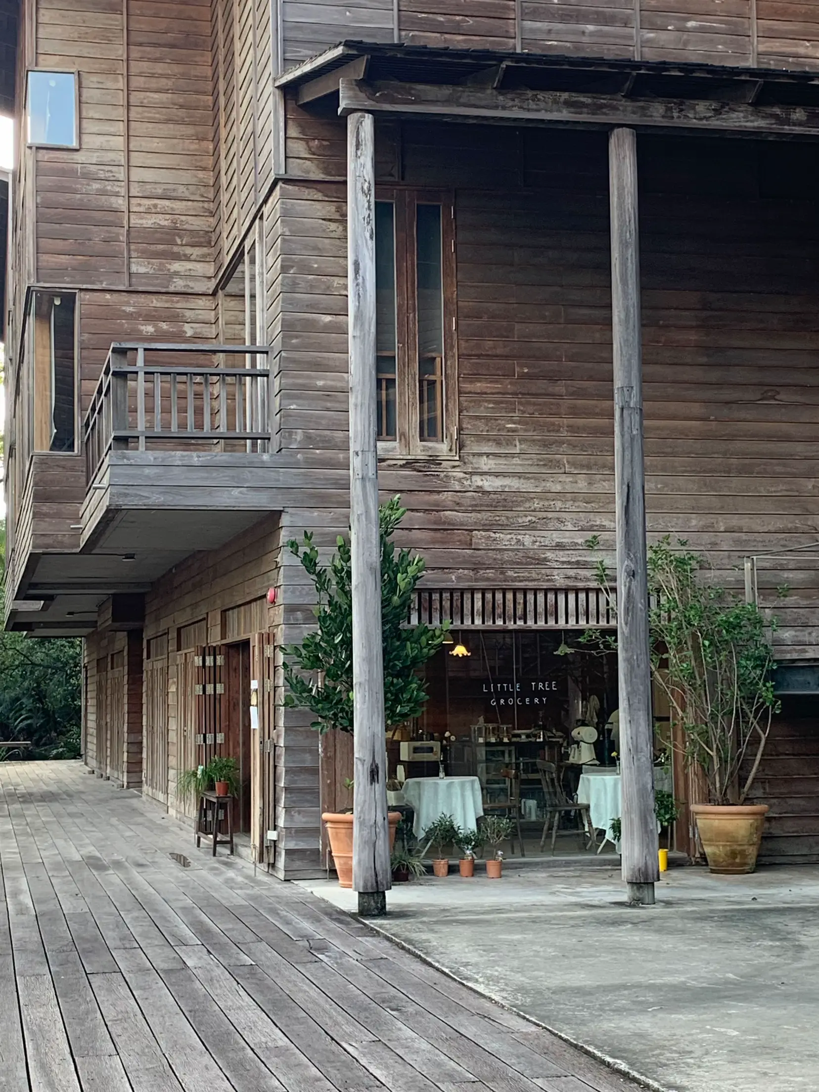 Little Tree Grocery 🍵 คาเฟ่น่ารักอบอุ่นในมหิดล ศาลายา | แกลเลอรีที่ ...