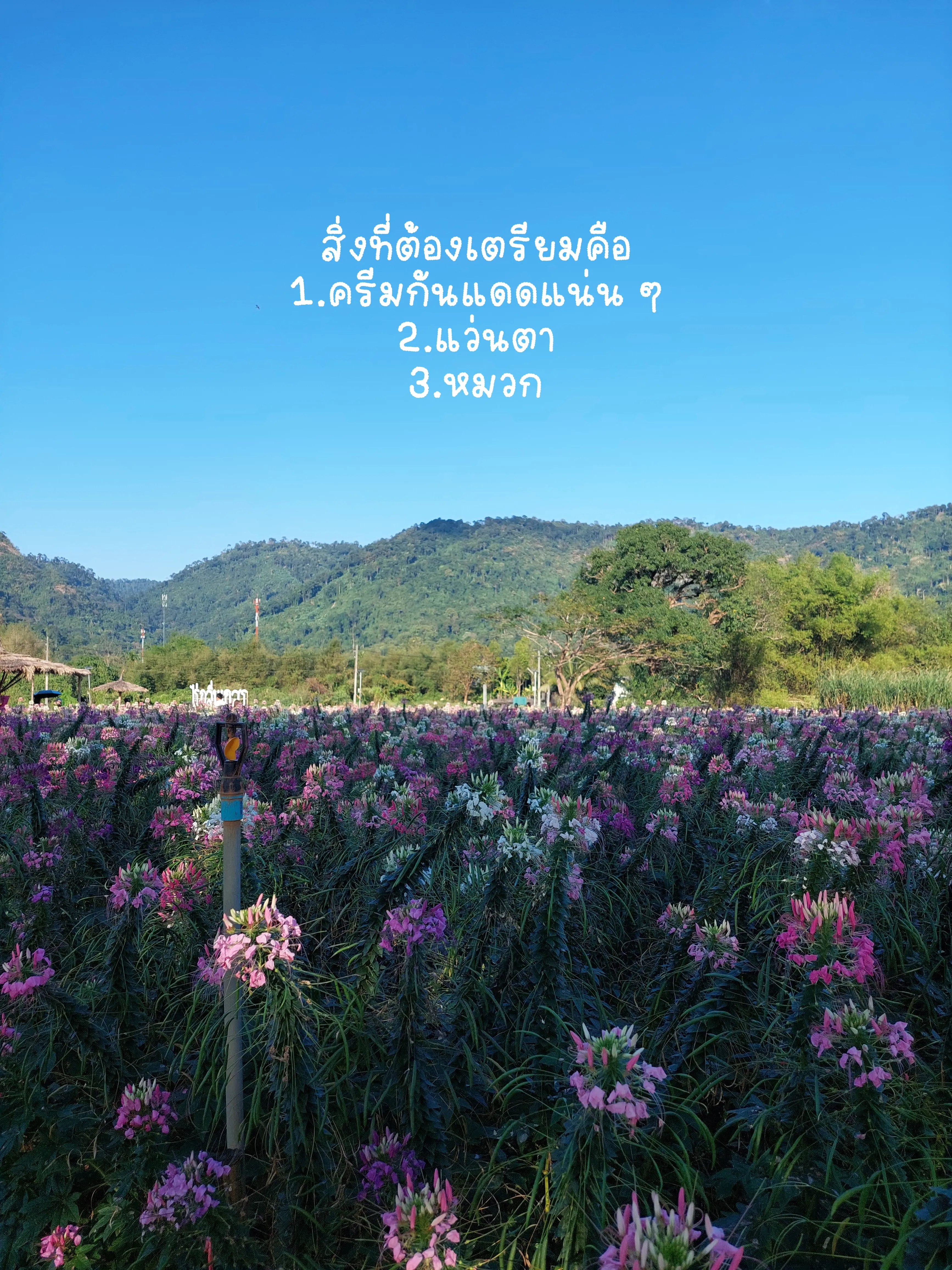 ให้ทายว่าที่นี่ที่ไหน สวยขนาดนี้ !!! | แกลเลอรีที่โพสต์โดย ตอตอเองจ้า ...