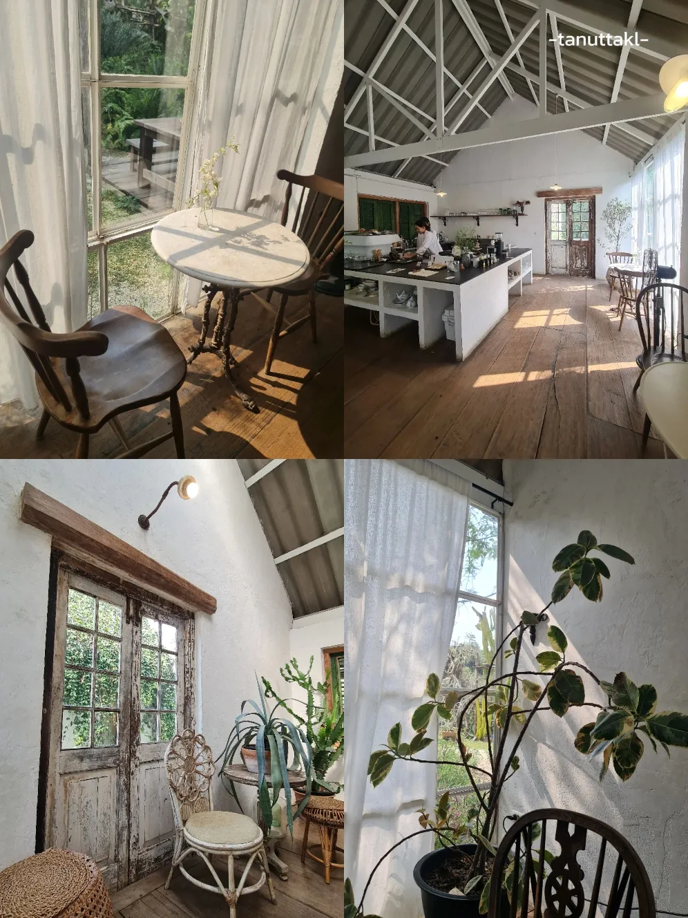 คาเฟ่นครปฐม Whispering cafe คนชอบต้นไม้ต้องเลิฟ😍 🌳 | แกลเลอรีที่โพสต์โดย Hernameisnuttha | Lemon8