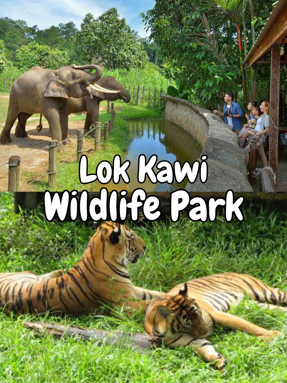 TripAdvisor : Top 9 Zoo and Aquarium in Malaysia 🇲 | แกลเลอรีที่โพสต์ ...