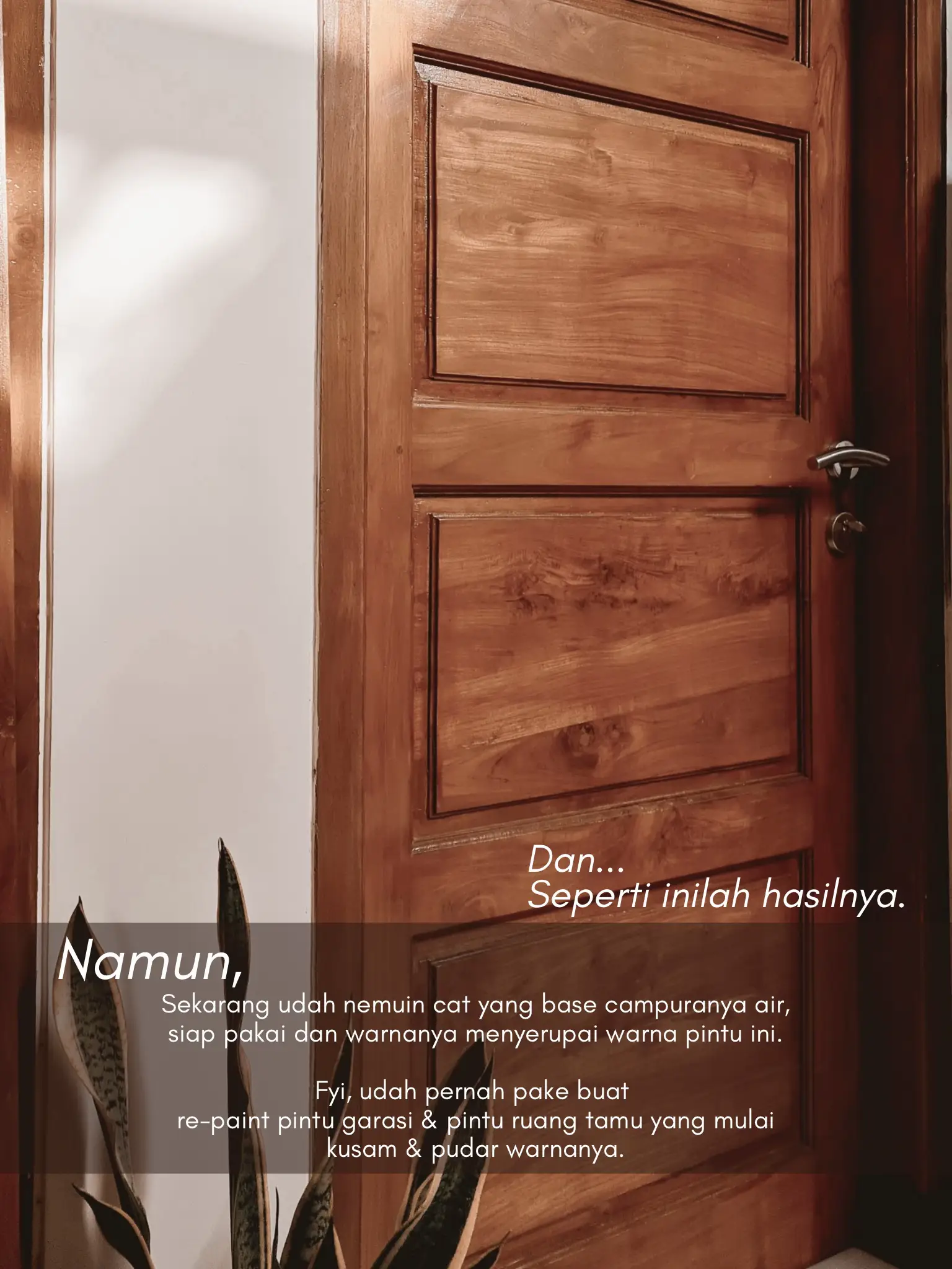 Spill cat pintu kayu dirumah | Galeri diposting oleh griyarjuna | Lemon8