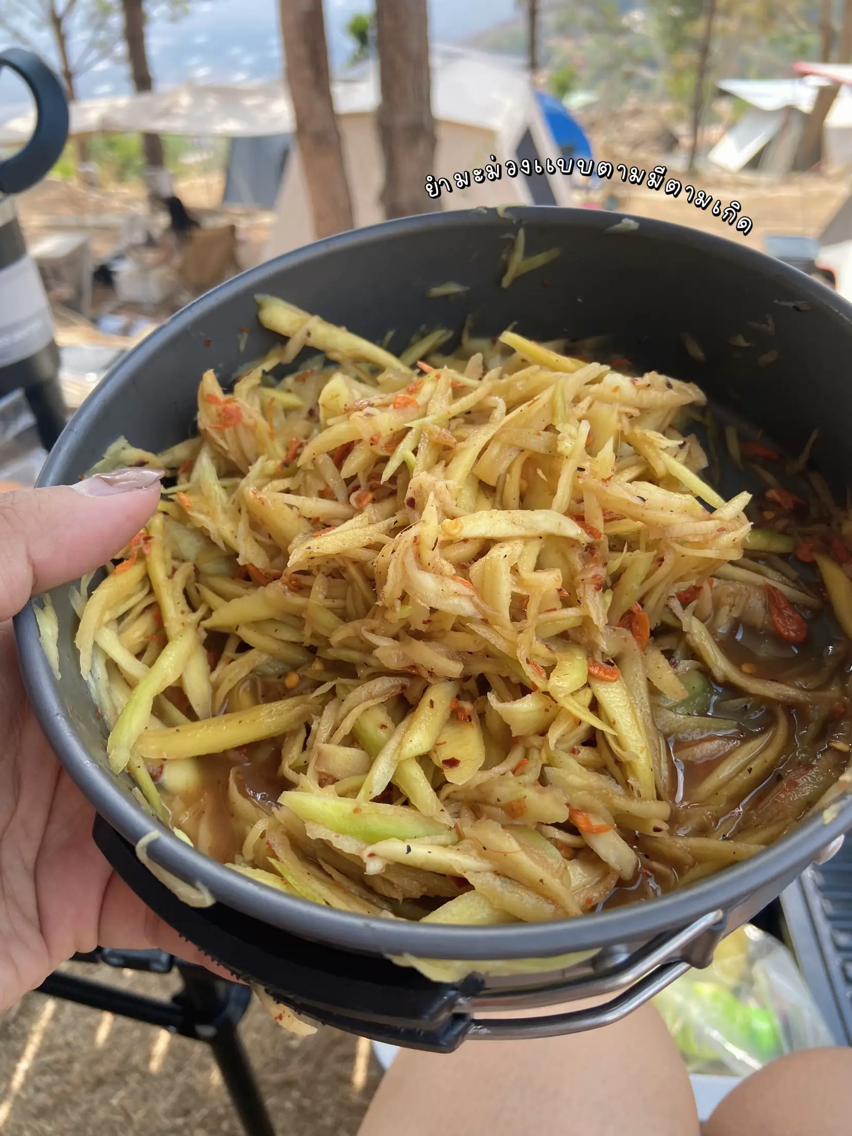 SAFE HAVEN 🏕️ ลานกางเตนท์เขายายเที่ยง 🍃 | แกลเลอรีที่โพสต์โดย MLskk🧸 ...