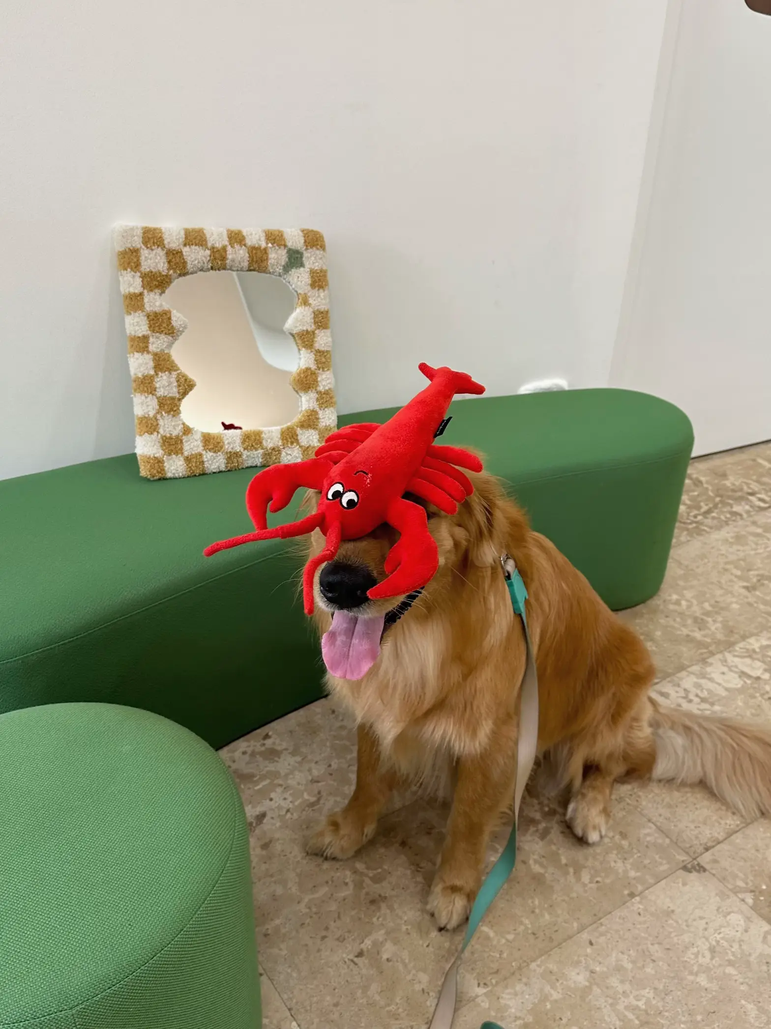 Aparte Pet Friendly Cafe | แกลเลอรีที่โพสต์โดย Niracha | Lemon8