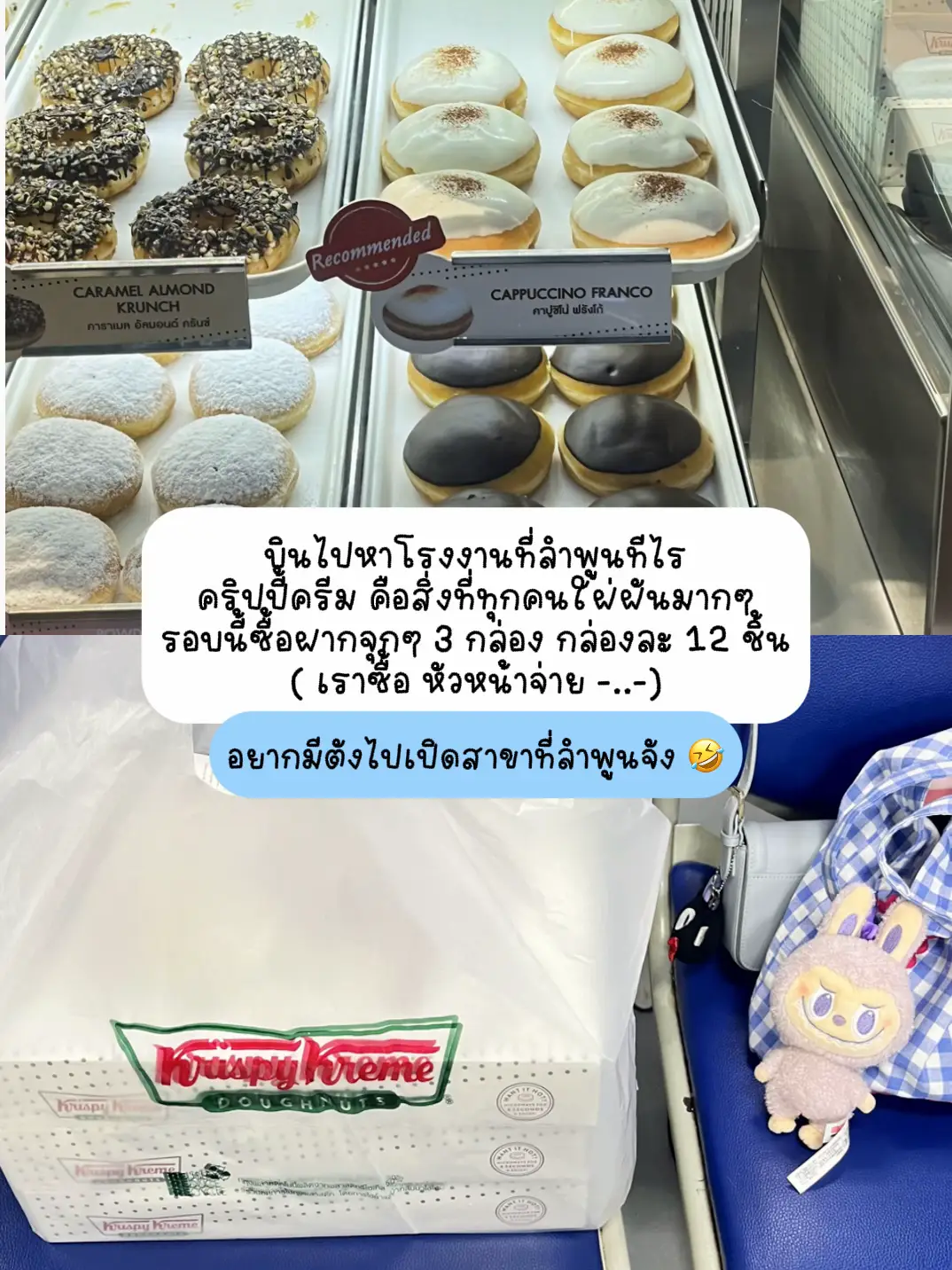 ไดอารี่ business trip 2 วันที่เชียงใหม่-ลำพูน🐶🩵 | แกลเลอรีที่โพสต์โดย ...