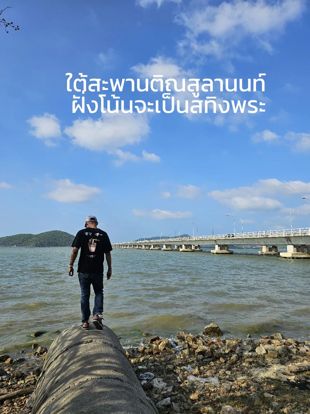 20 ไอเดียยอดนิยมเกี่ยวกับ คาเฟ่เกาะยอ ในปี 2024