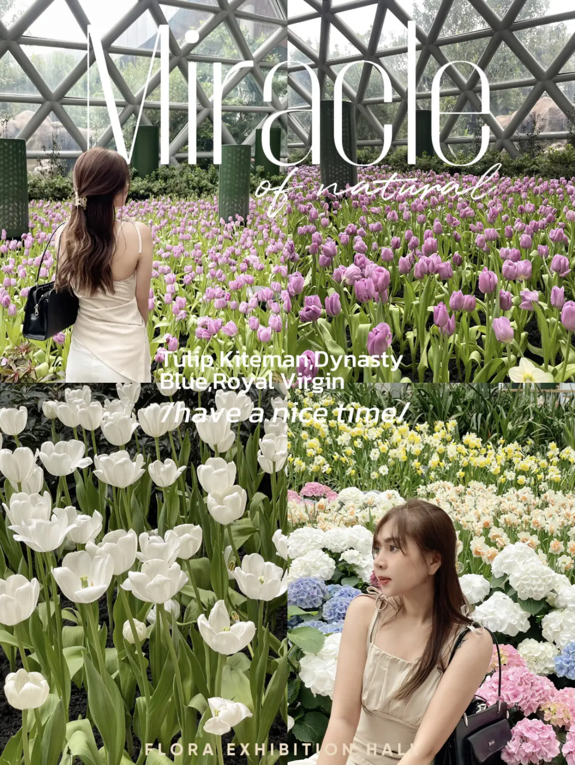 Miracle of Natural at Exhibition Hall 🌷🌷 | แกลเลอรีที่โพสต์โดย ...