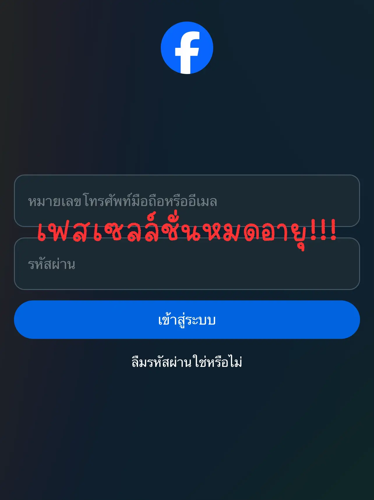 เฟสเซลล์ชั่นหมดอายุ!!! | แกลเลอรีที่โพสต์โดย Opy heart | Lemon8