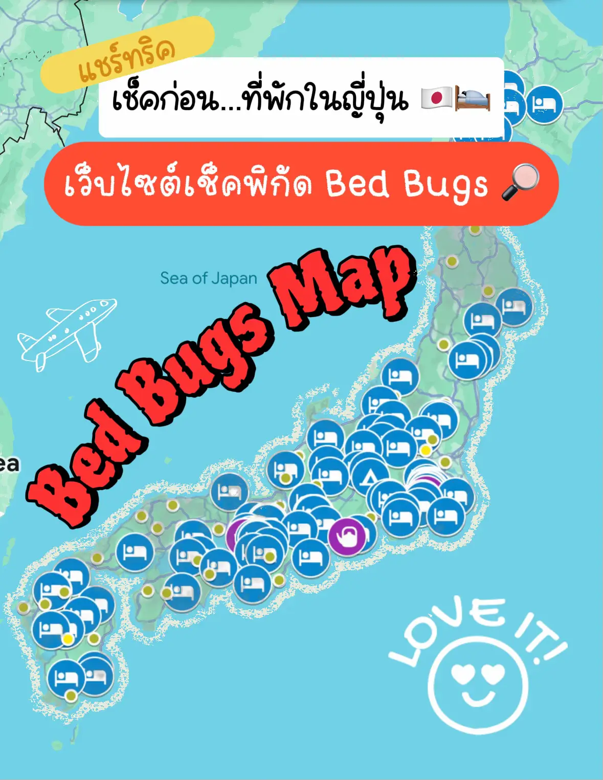 เว็บไซต์เช็คพิกัดที่พักที่มี Bed Bugs ในประเทศญี่ปุ่น 🛌🇯🇵 | แกลเลอรีที่ ...