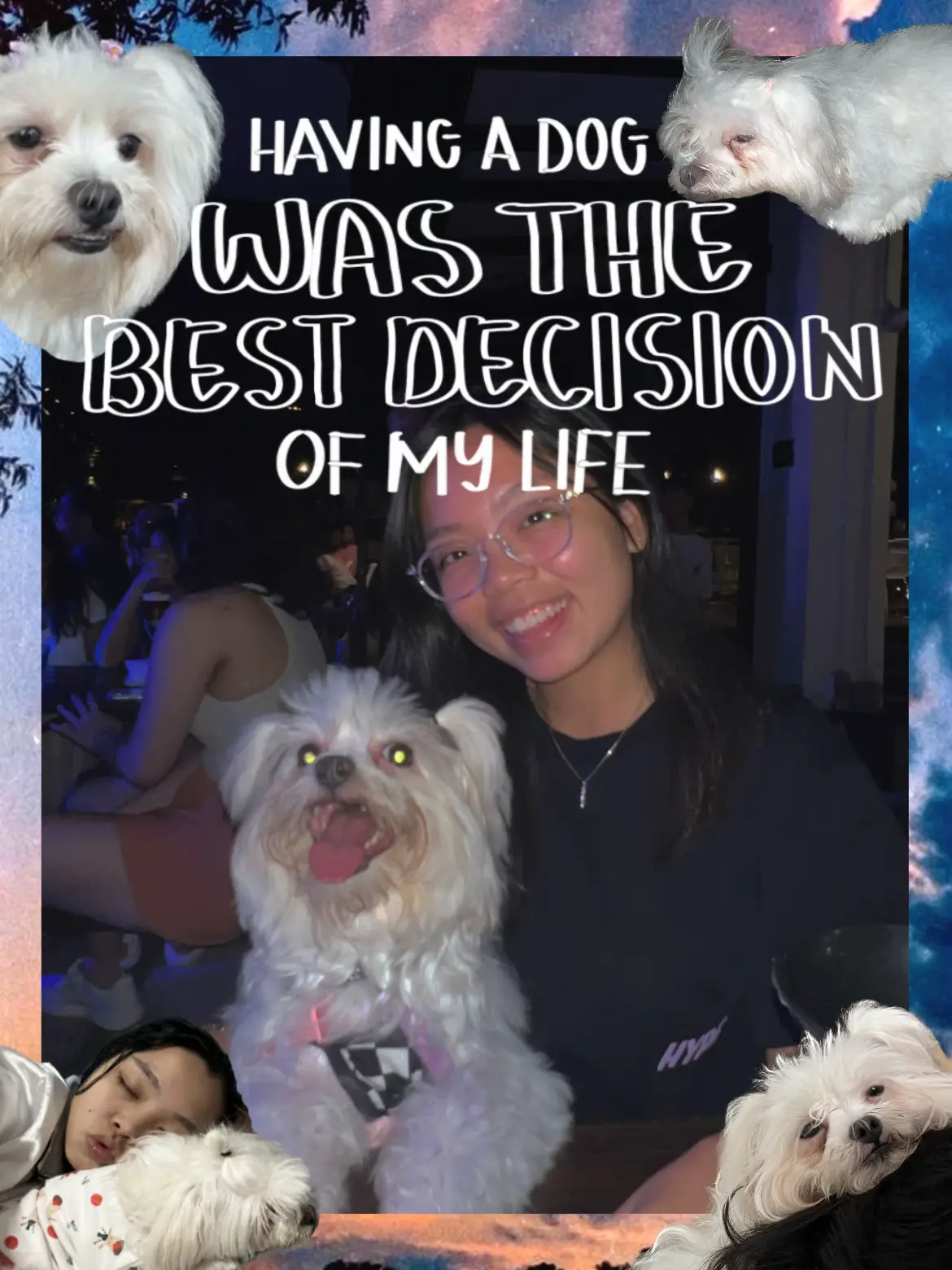 things i wish i knew b4 getting a dog 🐶🤓 | Gallery posted by jingyi 🤍 | Lemon8