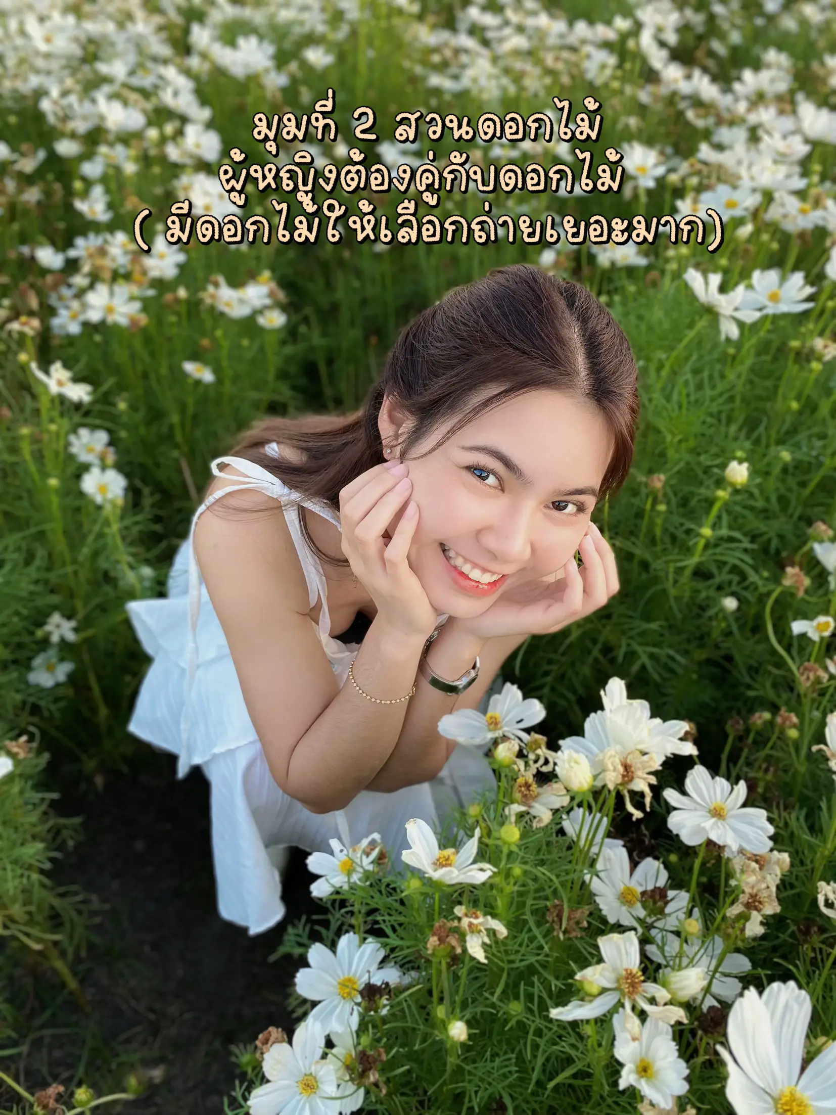 มุมถ่ายรูปสวนหลวง ร.9 | แกลเลอรีที่โพสต์โดย MD. | Lemon8