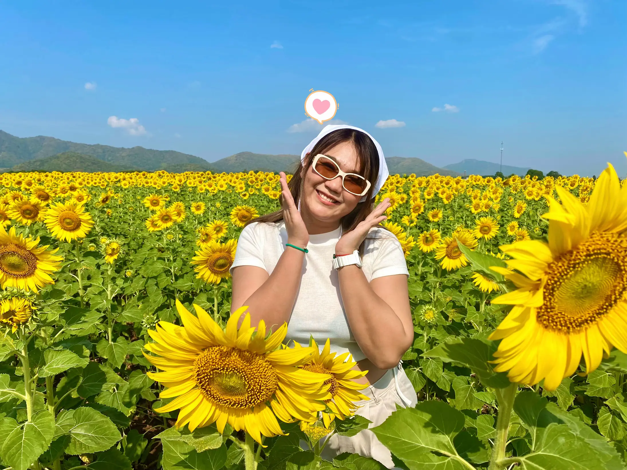 วันหยุดของฉัน กับ ทุ่งทานตะวันไร่วิชาญ ลพบุรี | แกลเลอรีที่โพสต์โดย 𝓟𝓲𝓹𝓮 ˘͈ᵕ˘͈ | Lemon8