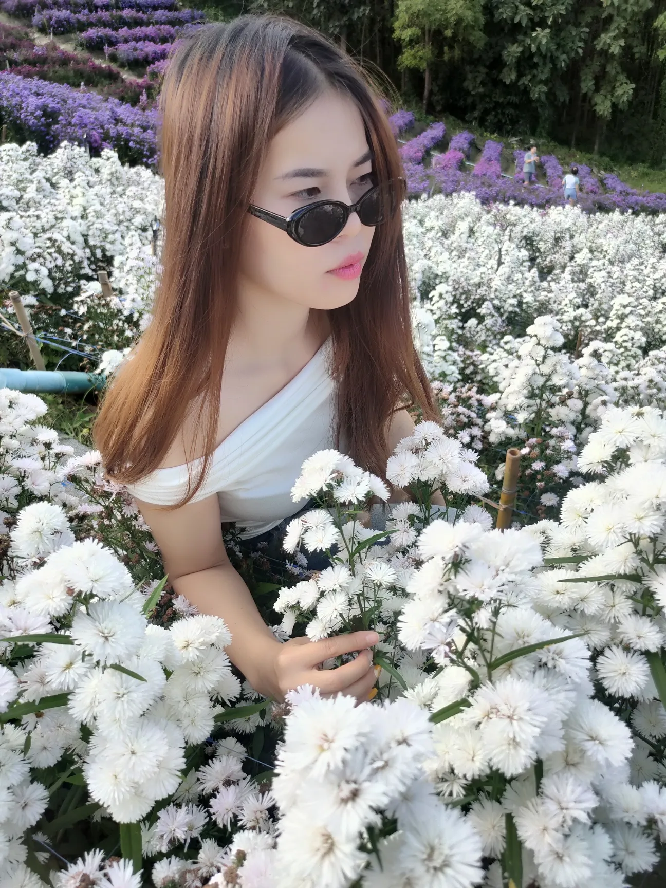 ไฮเดรนเยีย คาเฟ่ | แกลเลอรีที่โพสต์โดย tangmo | Lemon8