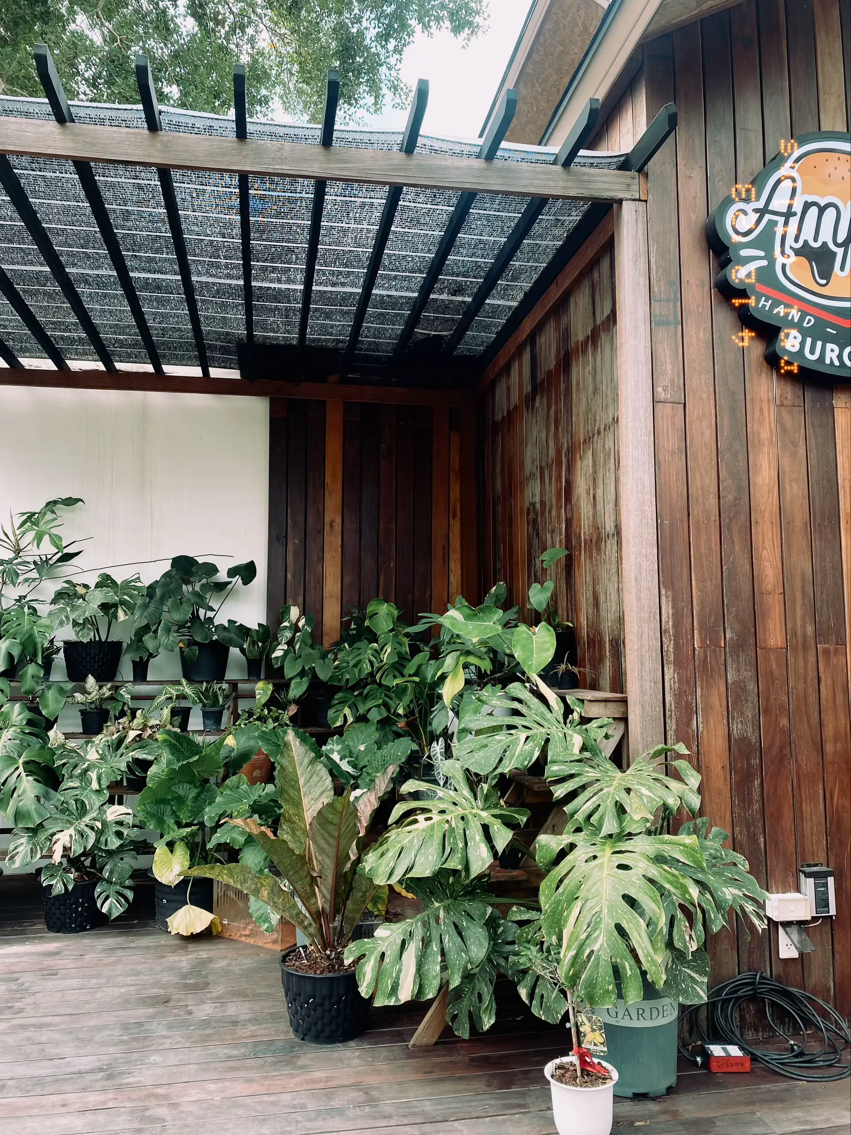🍃คาเฟ่หมาเข้าได้ ‘Montra Cafe byไร่วังบอน’ | แกลเลอรีที่โพสต์โดย TUKTIK ...
