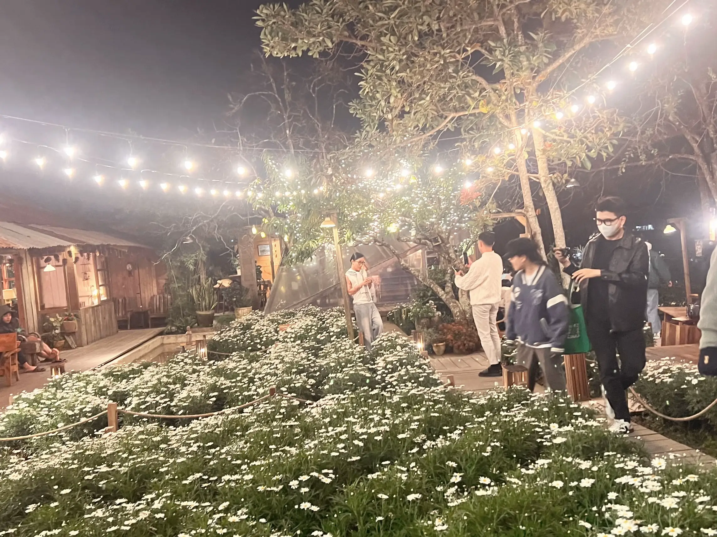 DINNER IN DALAT | แกลเลอรีที่โพสต์โดย โสดแล้วไปไหน !! | Lemon8