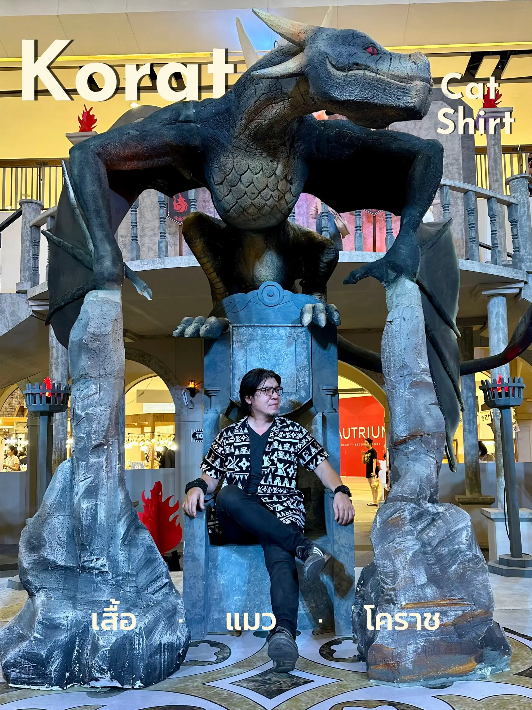 Korat Cat Shirt | แกลเลอรีที่โพสต์โดย Watt Tungwiroon | Lemon8