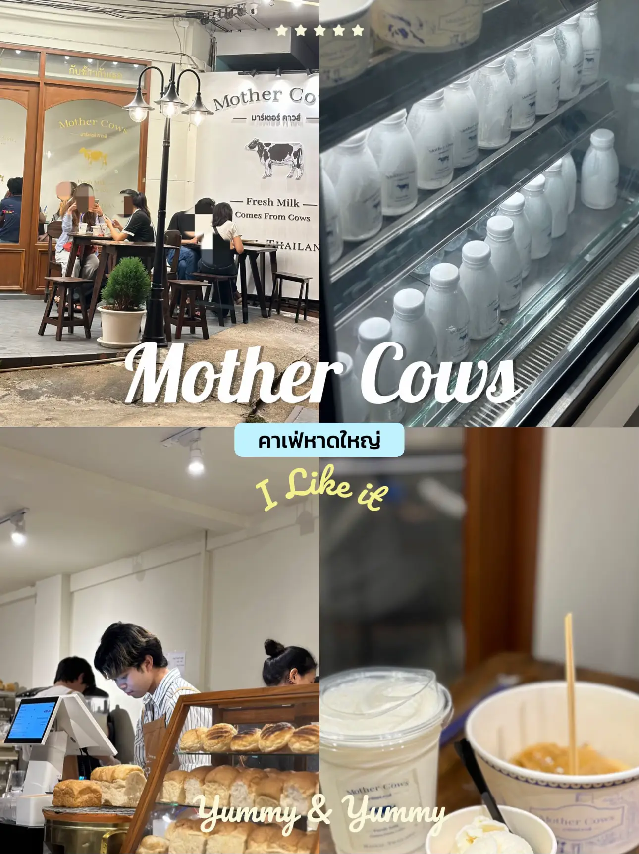 Mother Cows เจ้าดังหาดใหญ่มาเมืองทองแล้ววว🐮🥛 | แกลเลอรีที่โพสต์โดย b ...