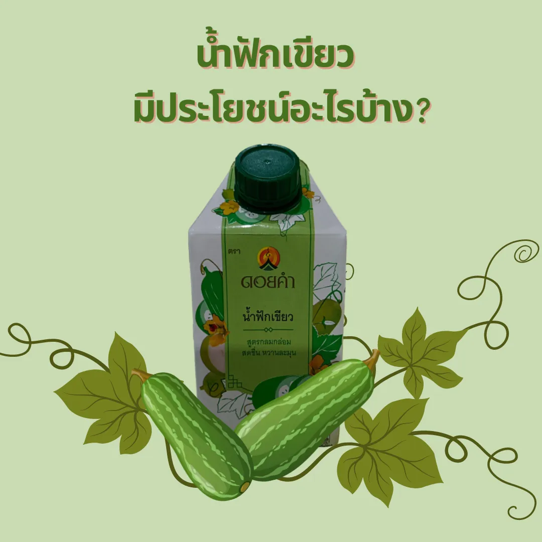 ประโยชน์ของน้ำฟักเขียว | แกลเลอรีที่โพสต์โดย Pear Chaya | Lemon8