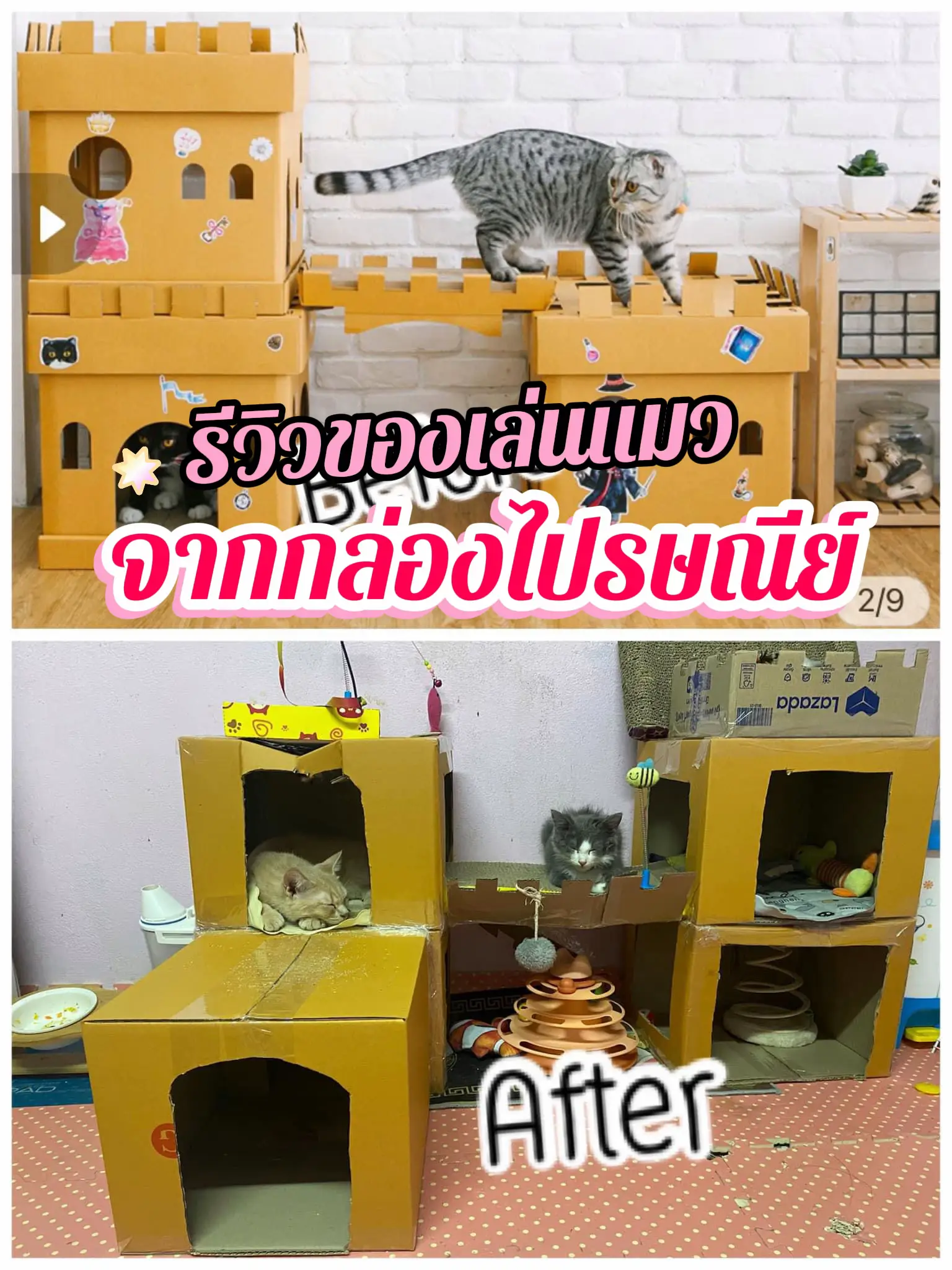 บ้านแมว จากกล่องไปรษณีย์ | แกลเลอรีที่โพสต์โดย Samun daily | Lemon8