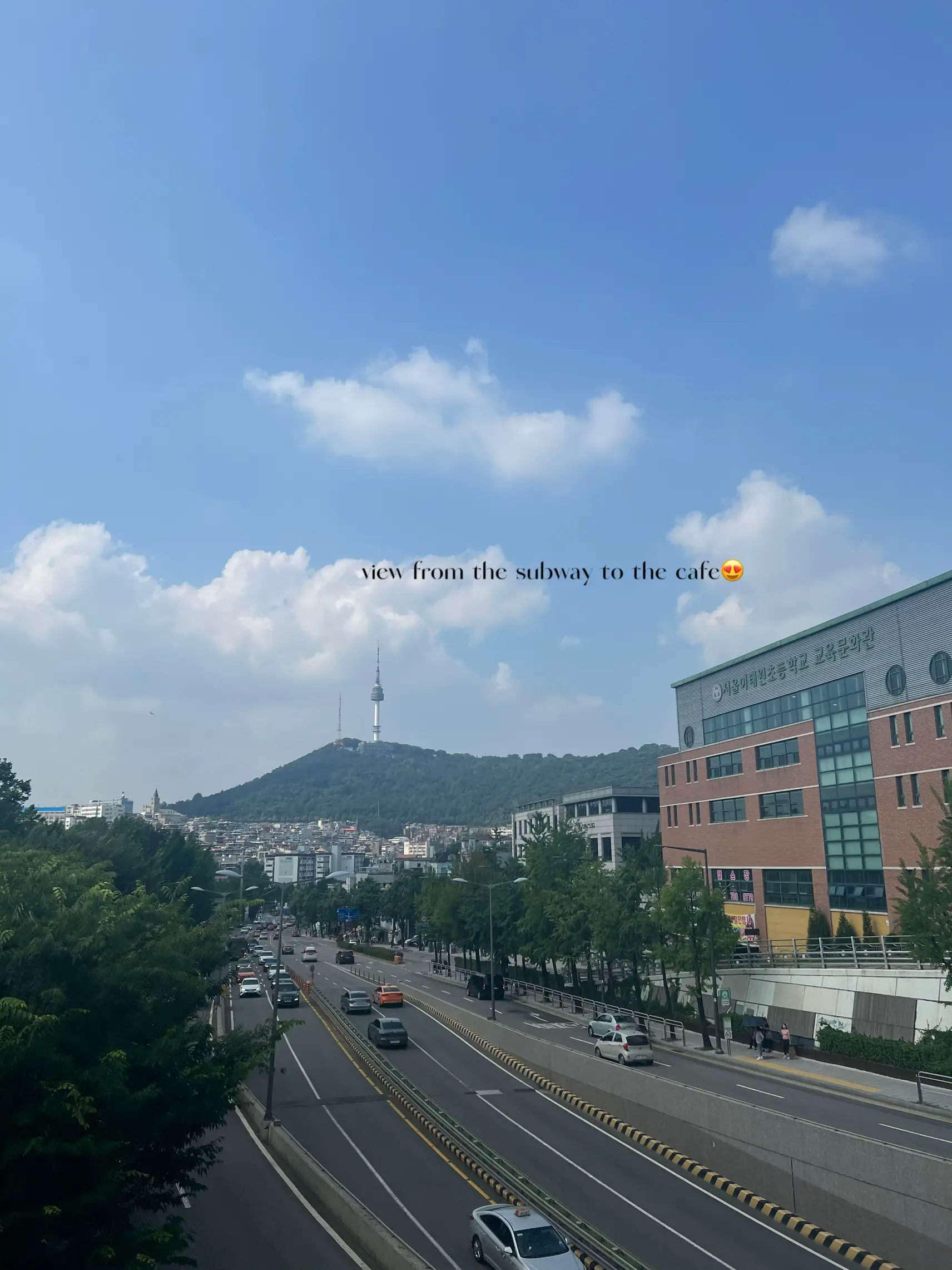 NOT YOUR TYPICAL SHIBA INU CAFE ~🐶☕️ | แกลเลอรีที่โพสต์โดย Jean | Lemon8