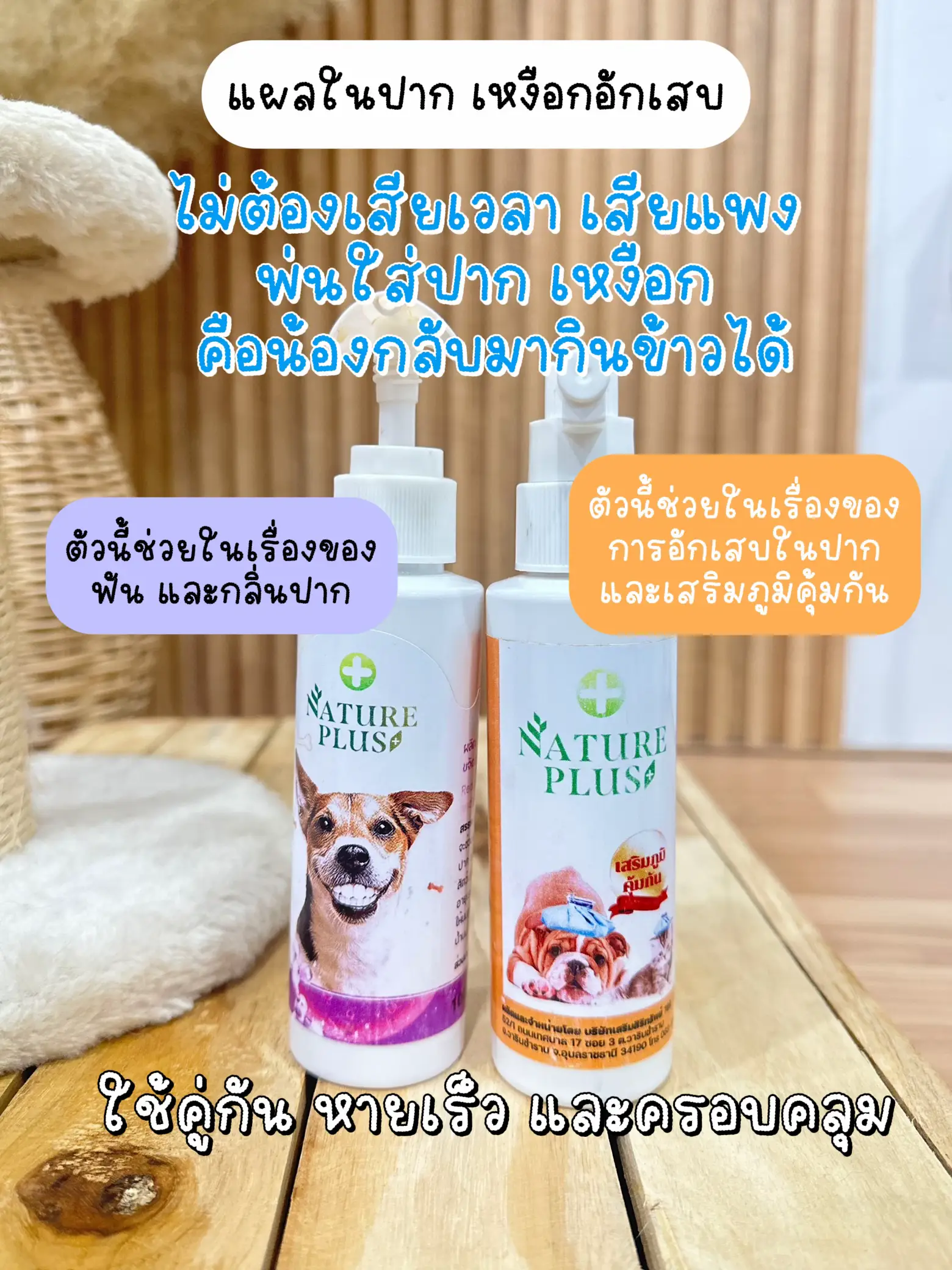 รวมของใช้ดี สำหรับสัตว์เลี้ยง By nature plus | แกลเลอรีที่โพสต์โดย Tina ...