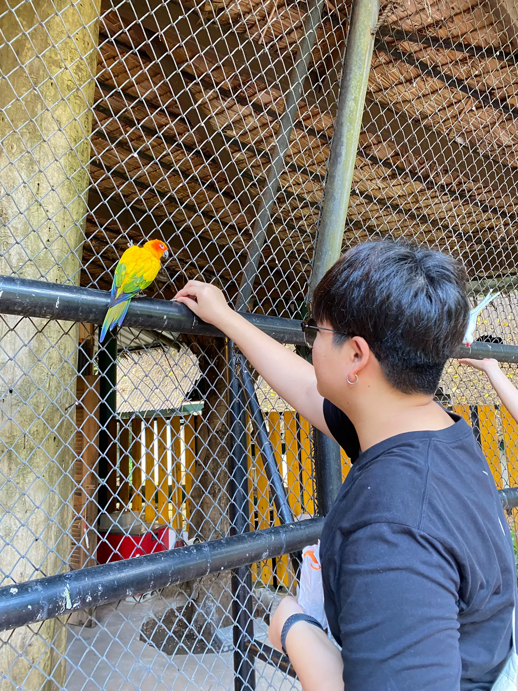 BONANZA EXOTIC ZOO | แกลเลอรีที่โพสต์โดย fonnnuch | Lemon8