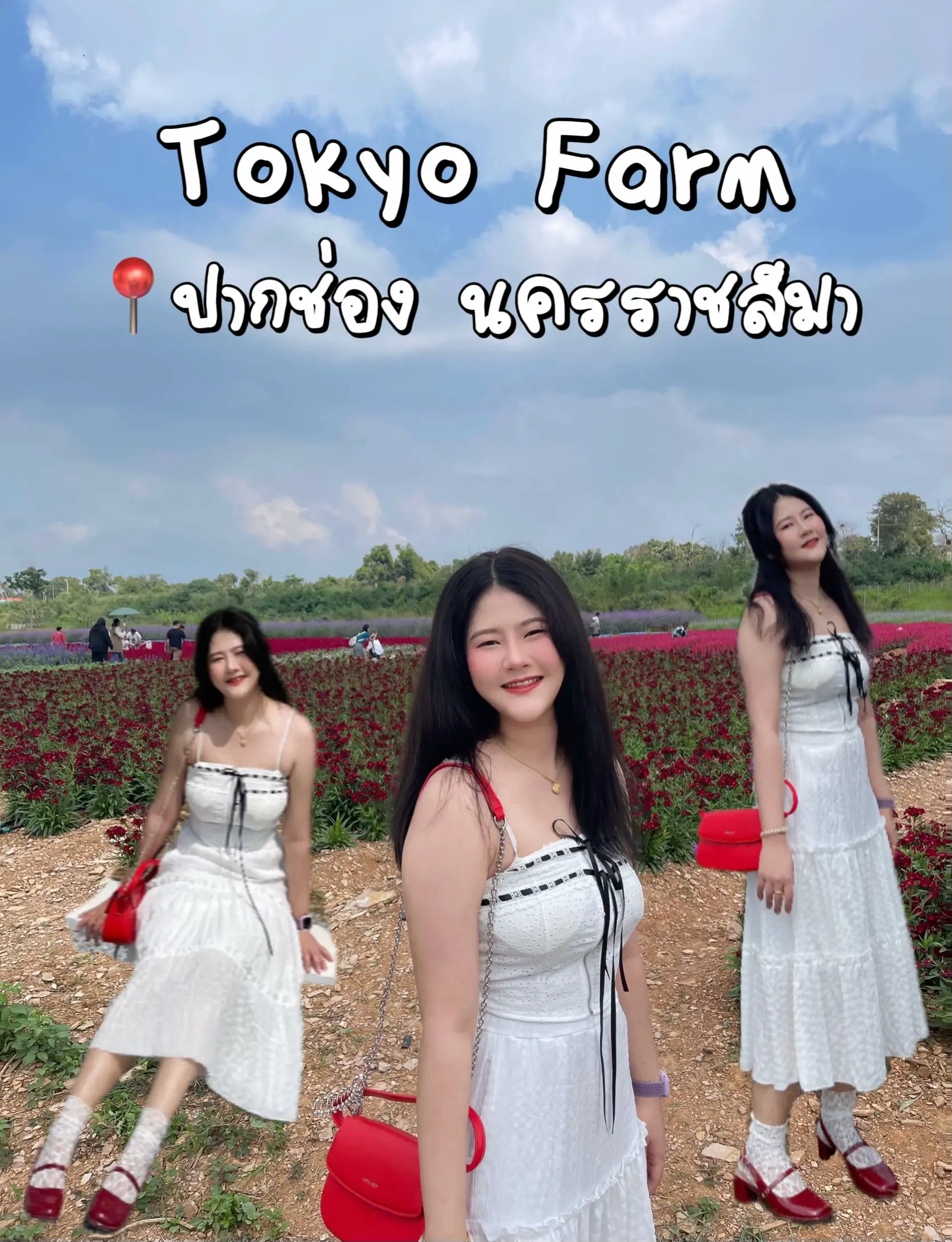 พาชม Tokyo Farm ปากช่อง (โคราช) ดอกไม้สวยมาก 🌸 | Gallery posted by Parn Tatchanon | Lemon8