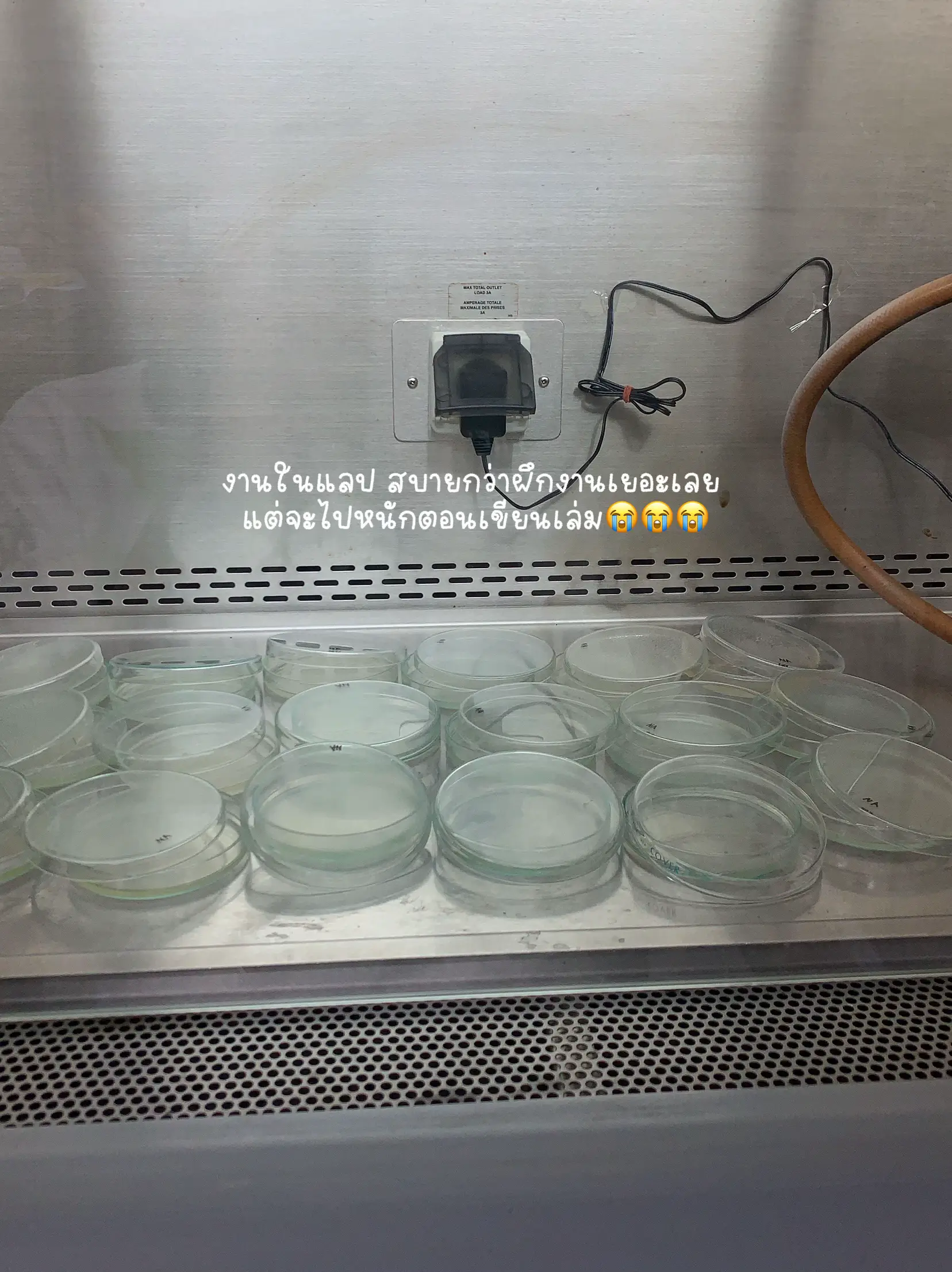 คณะเกษตร ไม่ได้ทำแค่สวน แค่ไร่‼️dek62 | แกลเลอรีที่โพสต์โดย Siramon | Lemon8