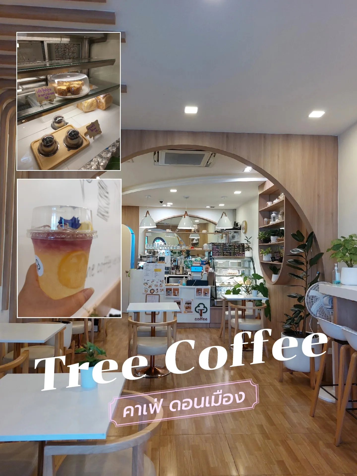 Tree Coffee | แกลเลอรีที่โพสต์โดย ตัวตันทราเวล | Lemon8