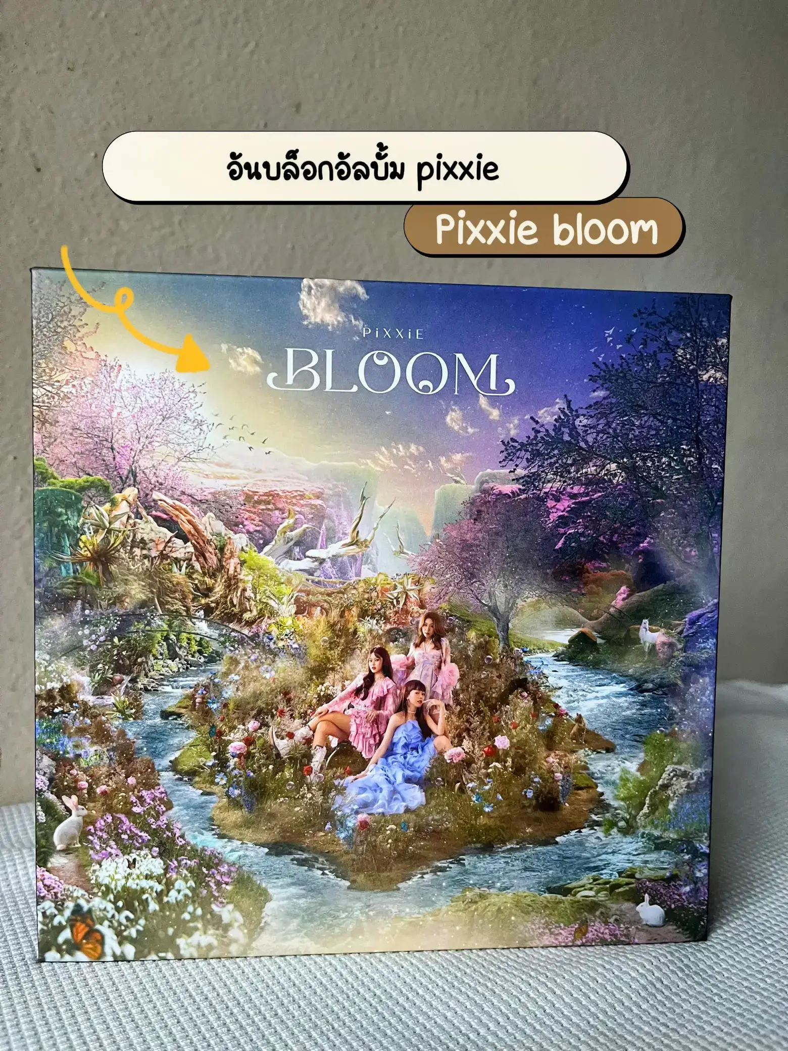 แจกรูปมาเบล pixxie - การค้นหาใน Lemon8