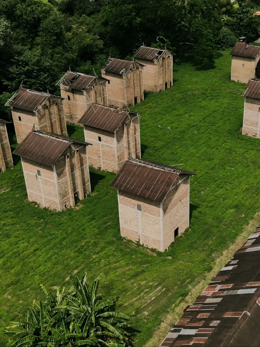 ย้อนรอย โรงบมยาสูบ จ.น่าน | แกลเลอรีที่โพสต์โดย ชีวิตต้องเจอนี่ | Lemon8