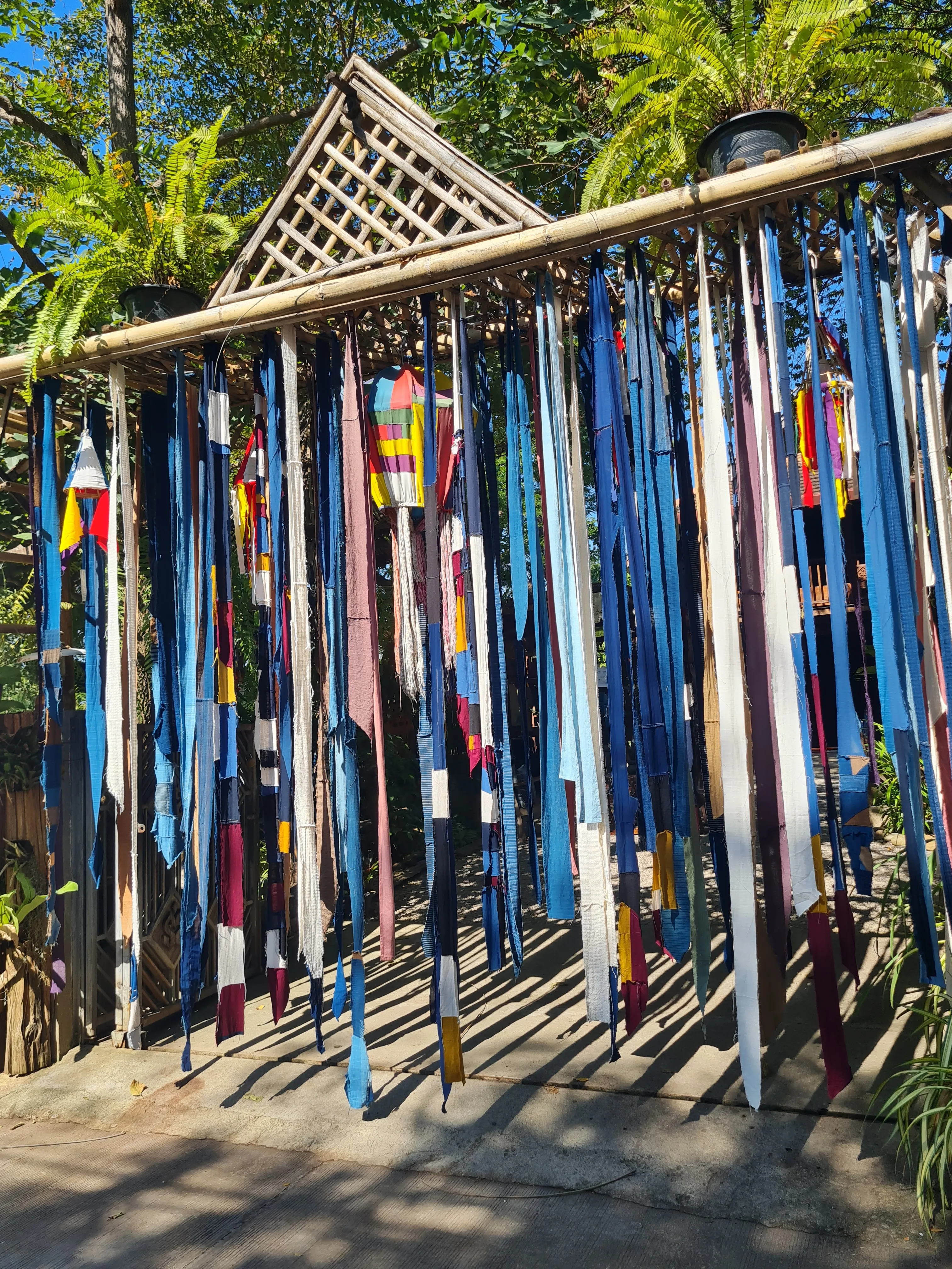 ฉำฉา Chamcha Market เชียงใหม่ | แกลเลอรีที่โพสต์โดย Ang naka | Lemon8