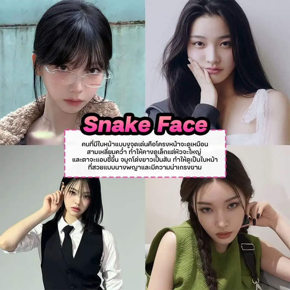 🧐 พาเช็ค Animal Face Type เทรนด์ที่กำลังมาในเกาหลี | แกลเลอรีที่โพสต์ ...