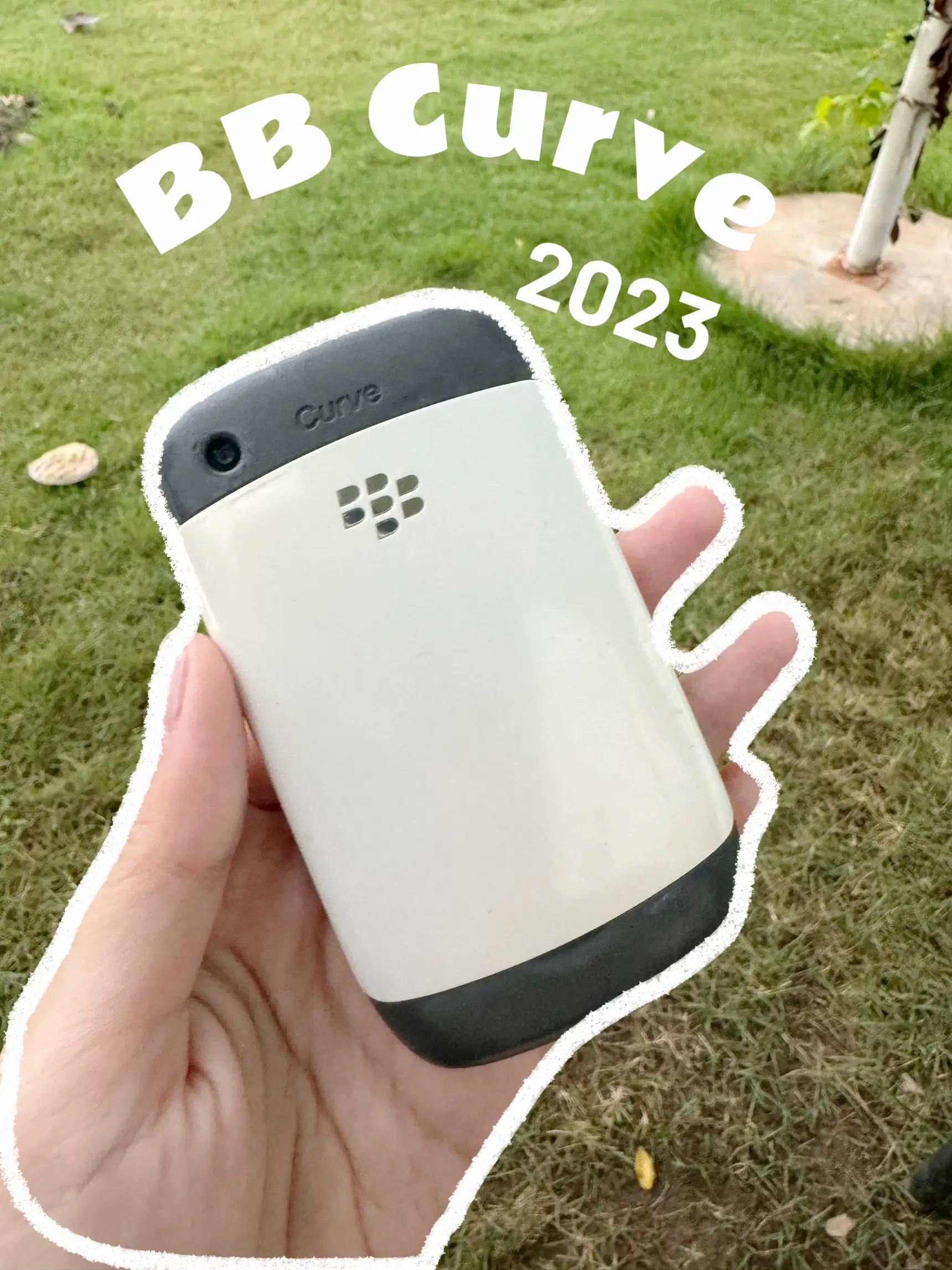 Blackberry ในปี2023 | แกลเลอรีที่โพสต์โดย Gunyarat | Lemon8