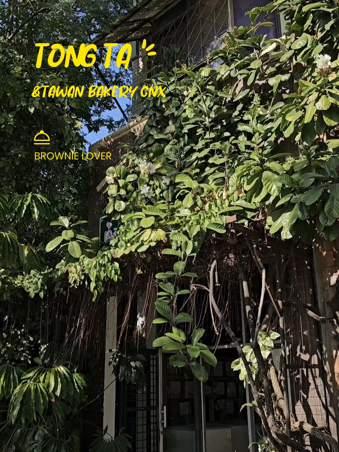 TONGTA & TAWAN BAKERY ร้านลับเชียงใหม่บราวนี่อร่อย | แกลเลอรีที่โพสต์ ...