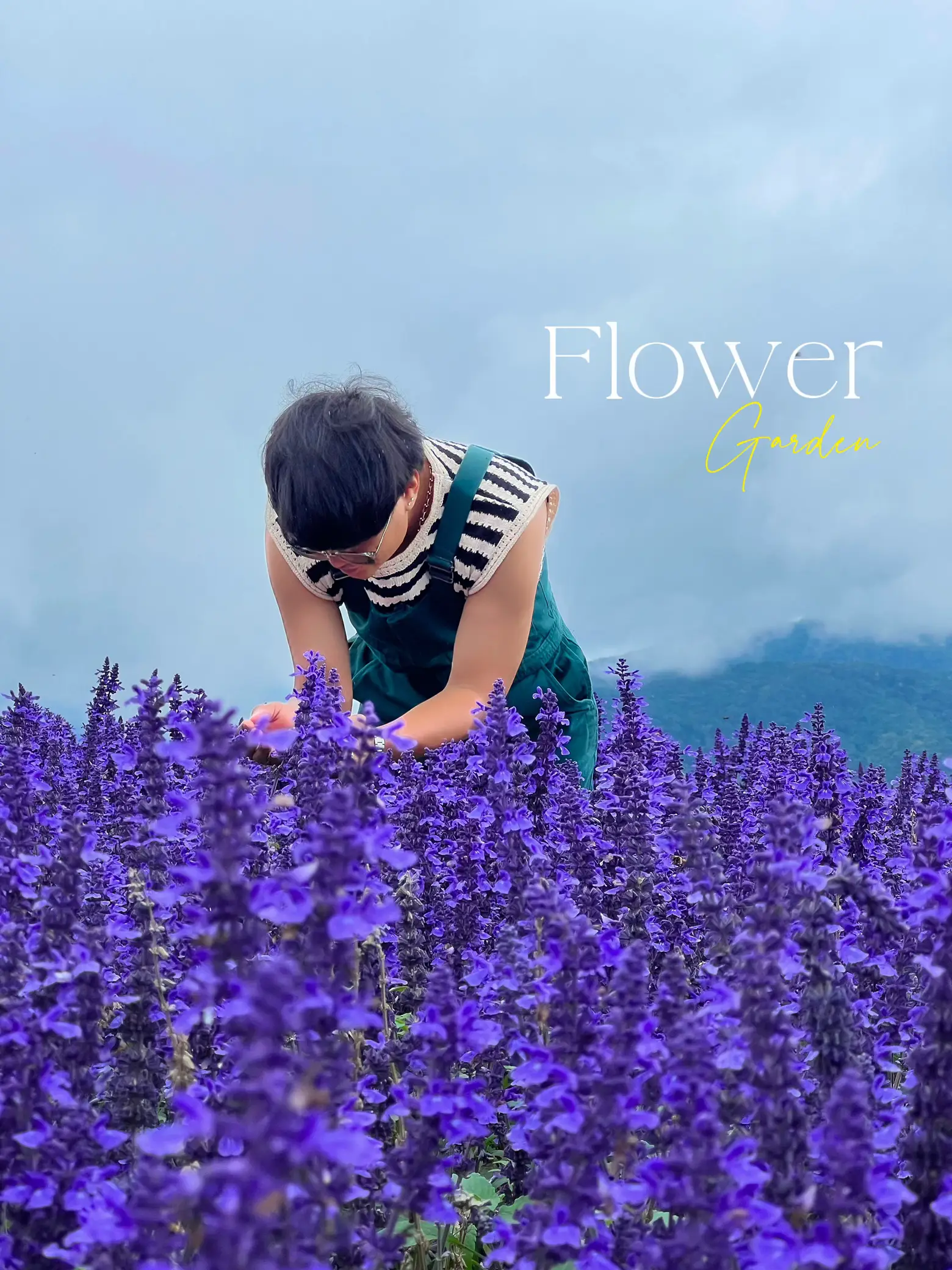 Flower | แกลเลอรีที่โพสต์โดย August Tower | Lemon8