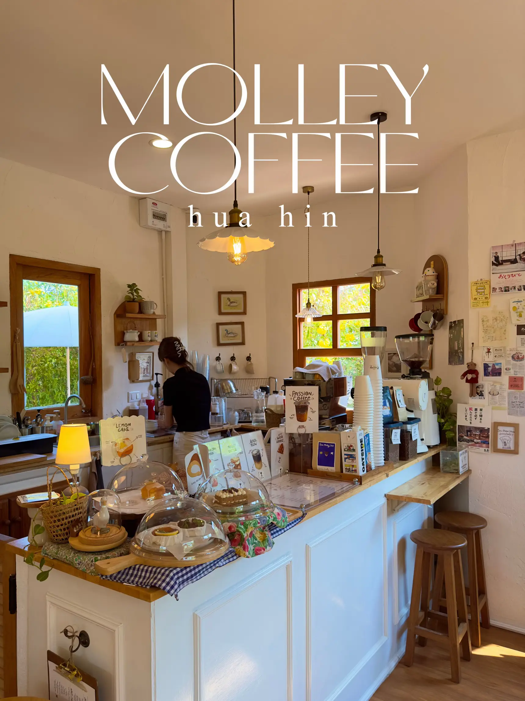 Save this cafe for your next trip to Thailand ! 🏡☕️ | Gallery posted by raine 🍞 | Lemon8