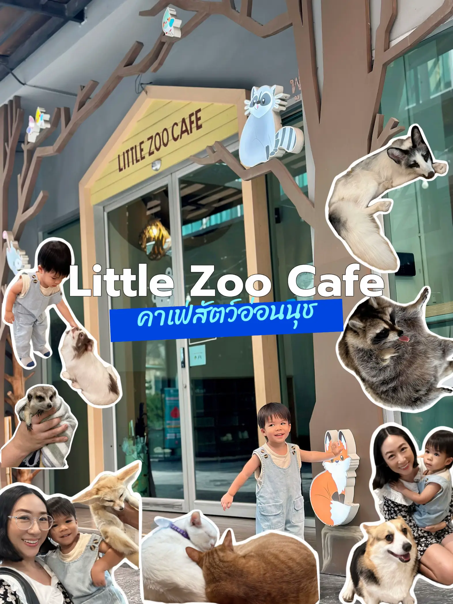 Little Zoo Cafe Animal Nut Cafe | Gallery posted by ป๋อว่าดีย์ | Lemon8