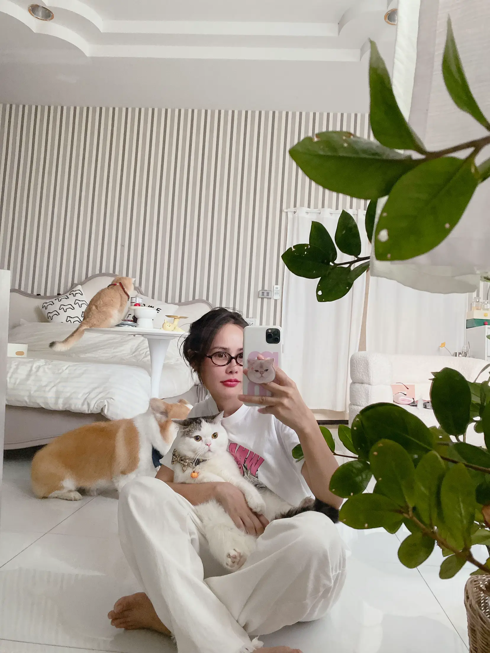 Miu Miu regard glasses 👓 | แกลเลอรีที่โพสต์โดย Tipayarat_s | Lemon8