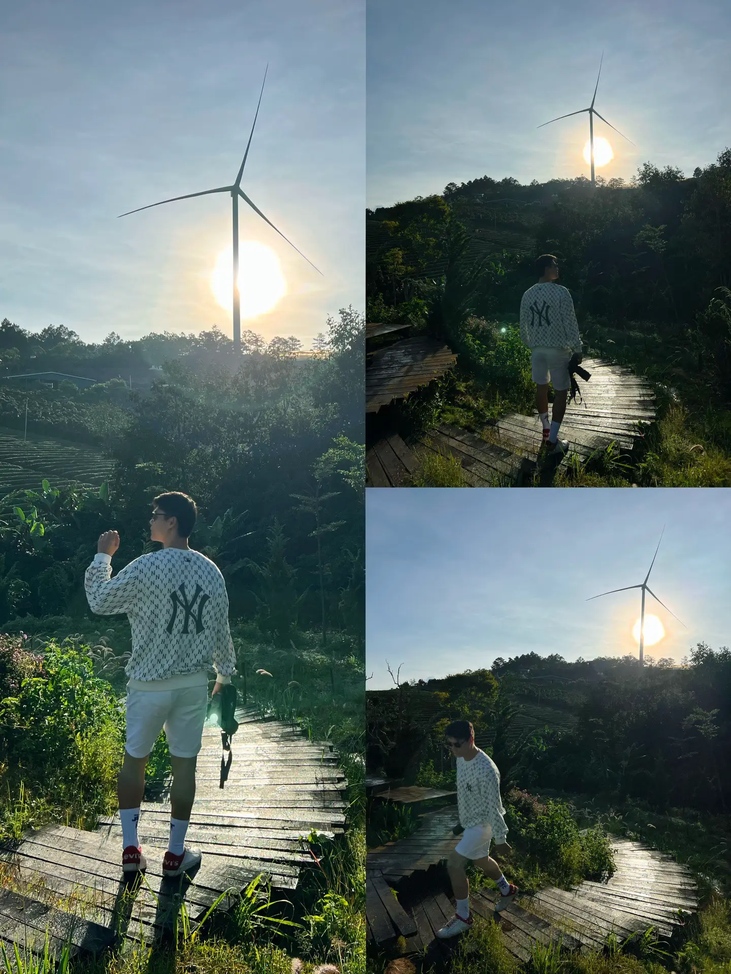 ดาลัด : แห่งเวียดนาม 🇻🇳 | แกลเลอรีที่โพสต์โดย WithMyShutter | Lemon8