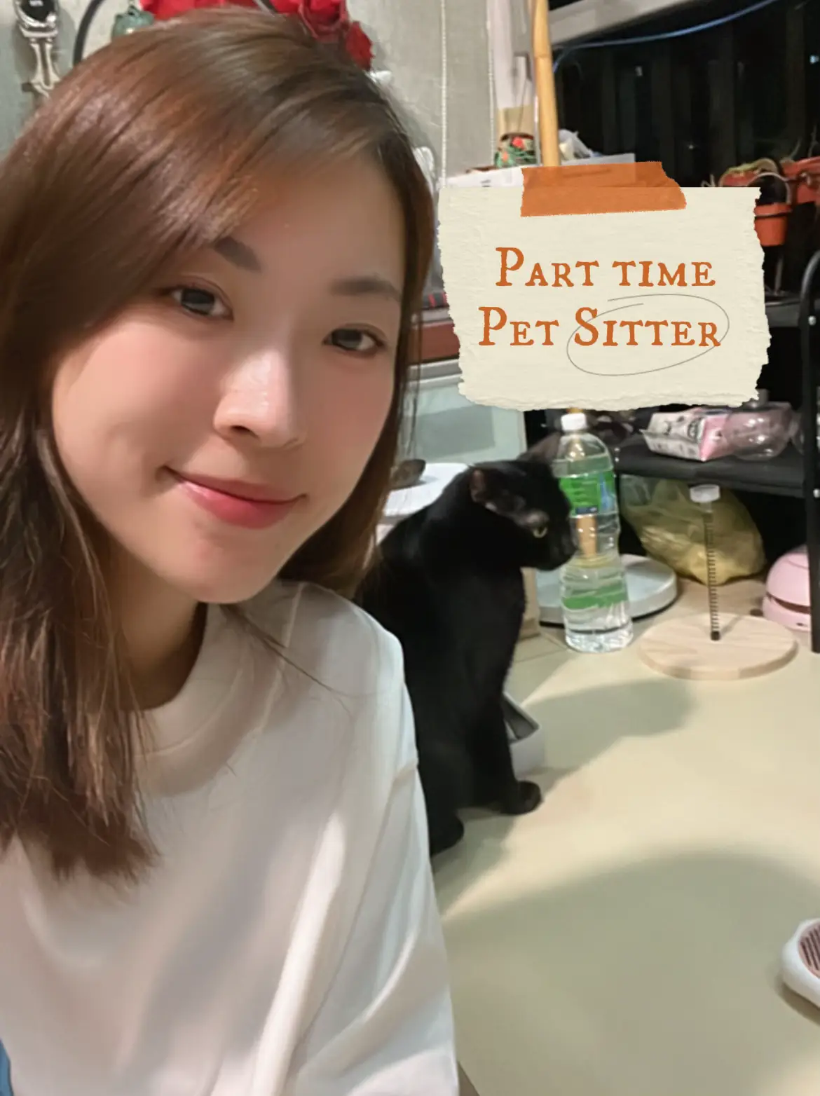 🇸🇬| Part time pet Sitter | Gallery posted by Gintonic | Lemon8