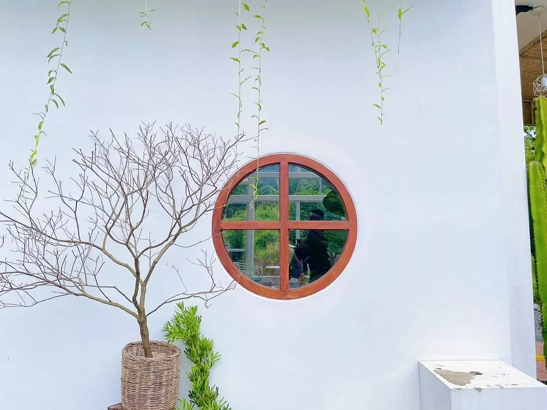 225 Cafe' homemade 🏡⛺🌳🍃 | แกลเลอรีที่โพสต์โดย 🍭🍦Fonniiz🍦🍭 | Lemon8