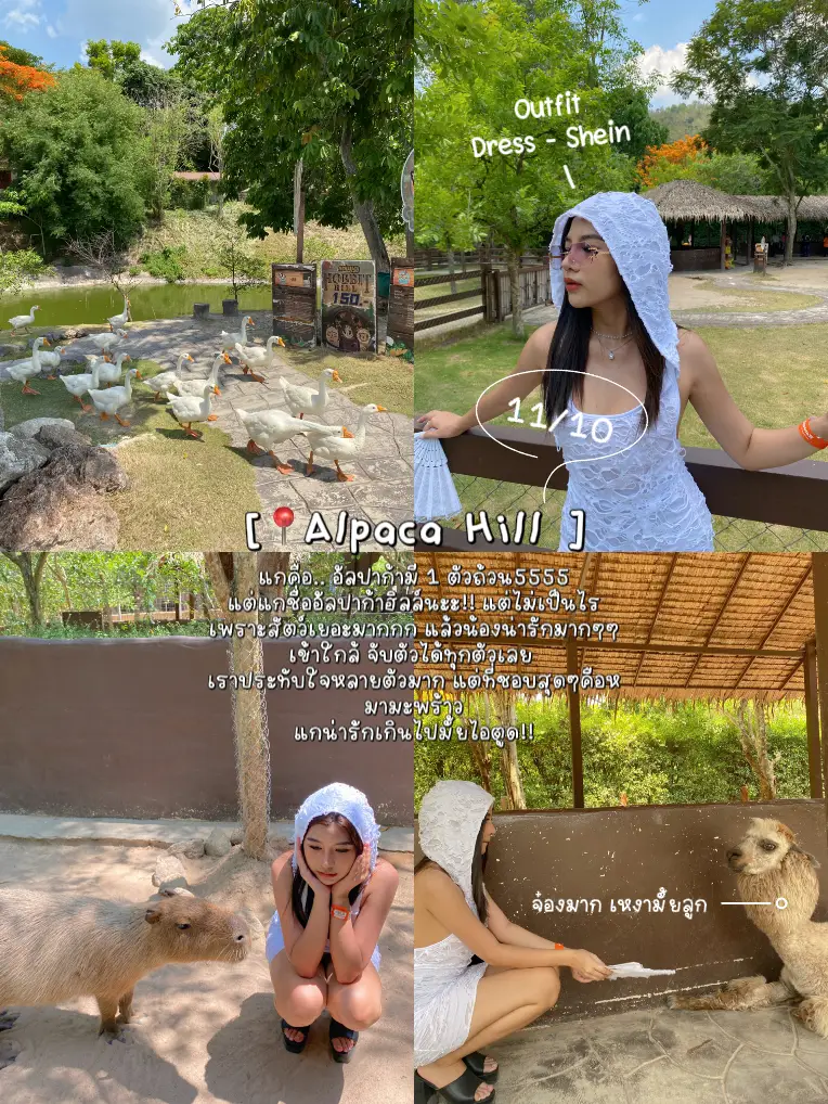 Suan Phueng • 3 days 2 nights 🌷🧺🌳 | แกลเลอรีที่โพสต์โดย Muse | Lemon8