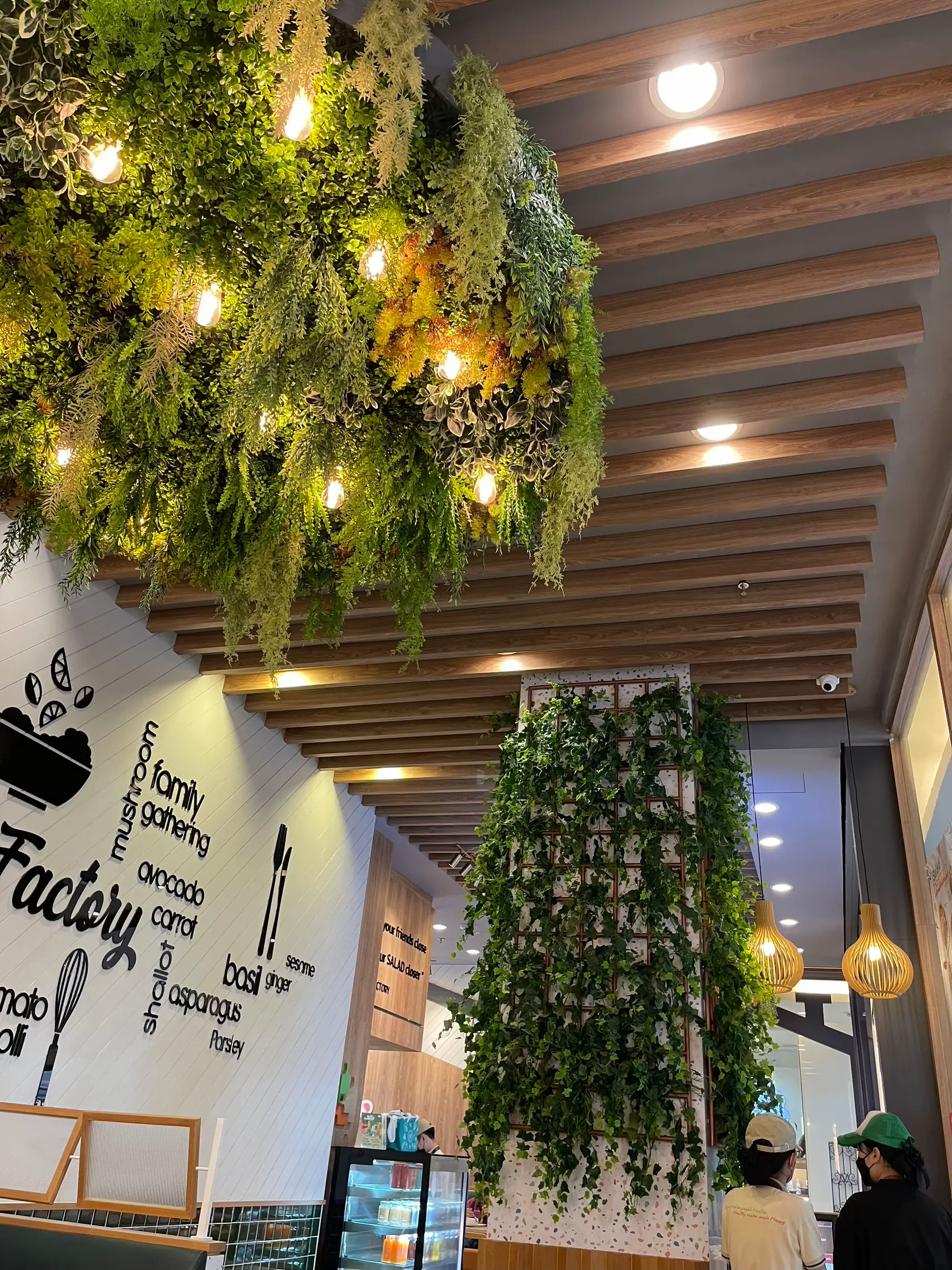 Salad Factory 🥗 Branch Zpell Rangsit | Gallery posted by Tammy450 | Lemon8