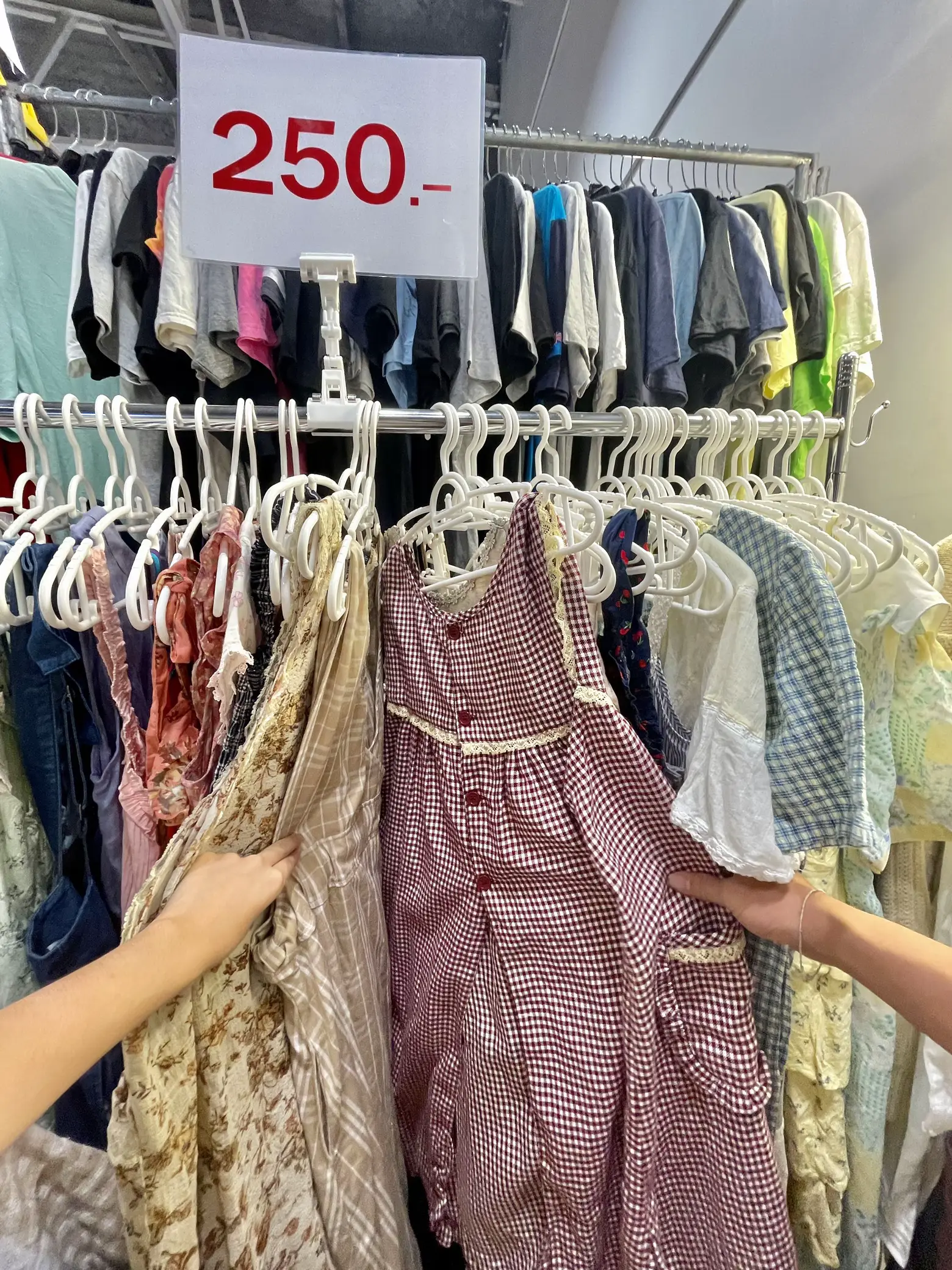 พันธุ์ทิพย์งามวงศ์วาน 1 วัน มีอะไรบ้าง?!👀 | แกลเลอรีที่โพสต์โดย BAIMON | Lemon8