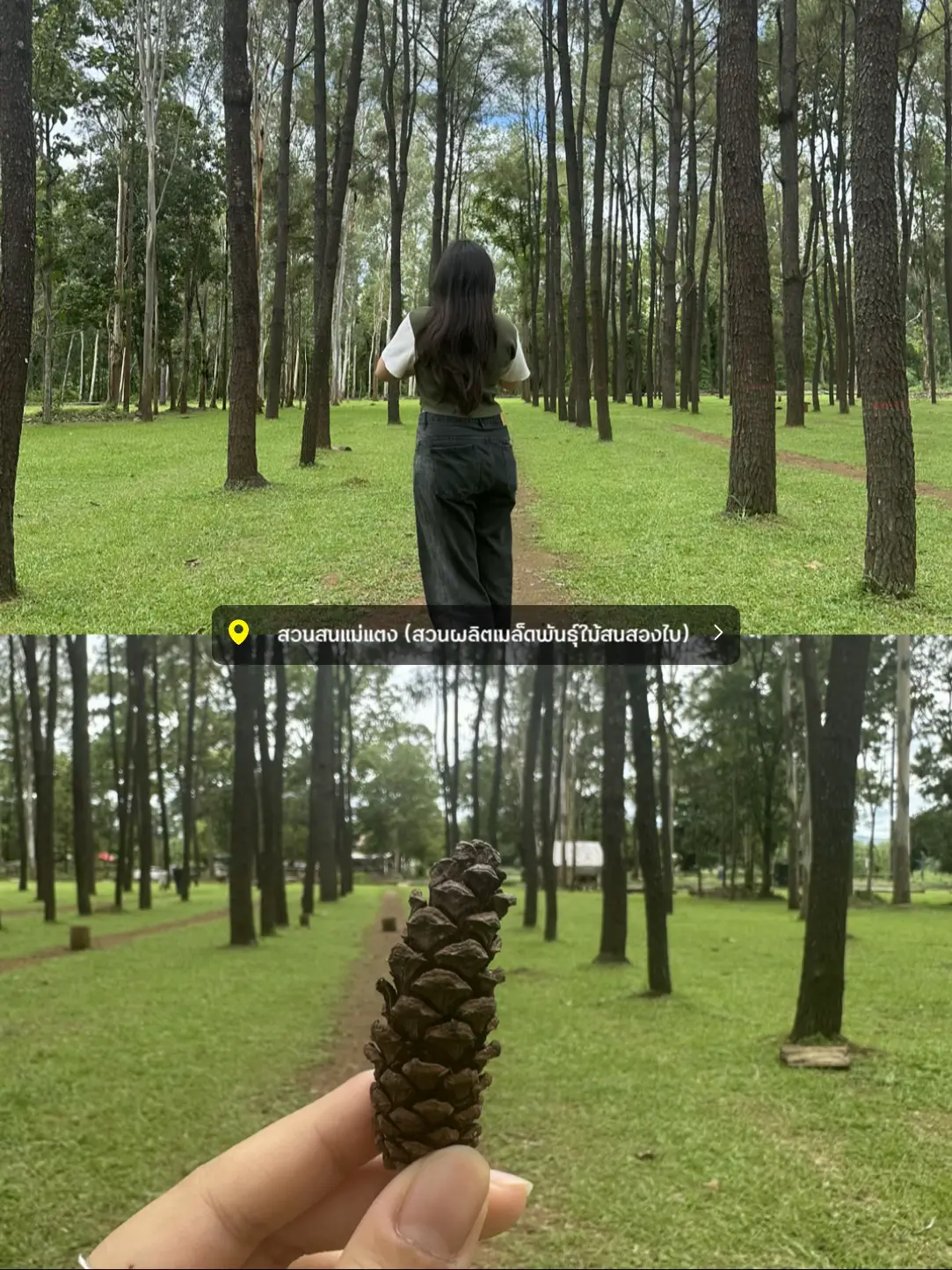 Mae Taeng 1 วันกับกิน เที่ยว ถ่ายรูป ครบจบ 📸 | แกลเลอรีที่โพสต์โดย Peepluvpurple | Lemon8