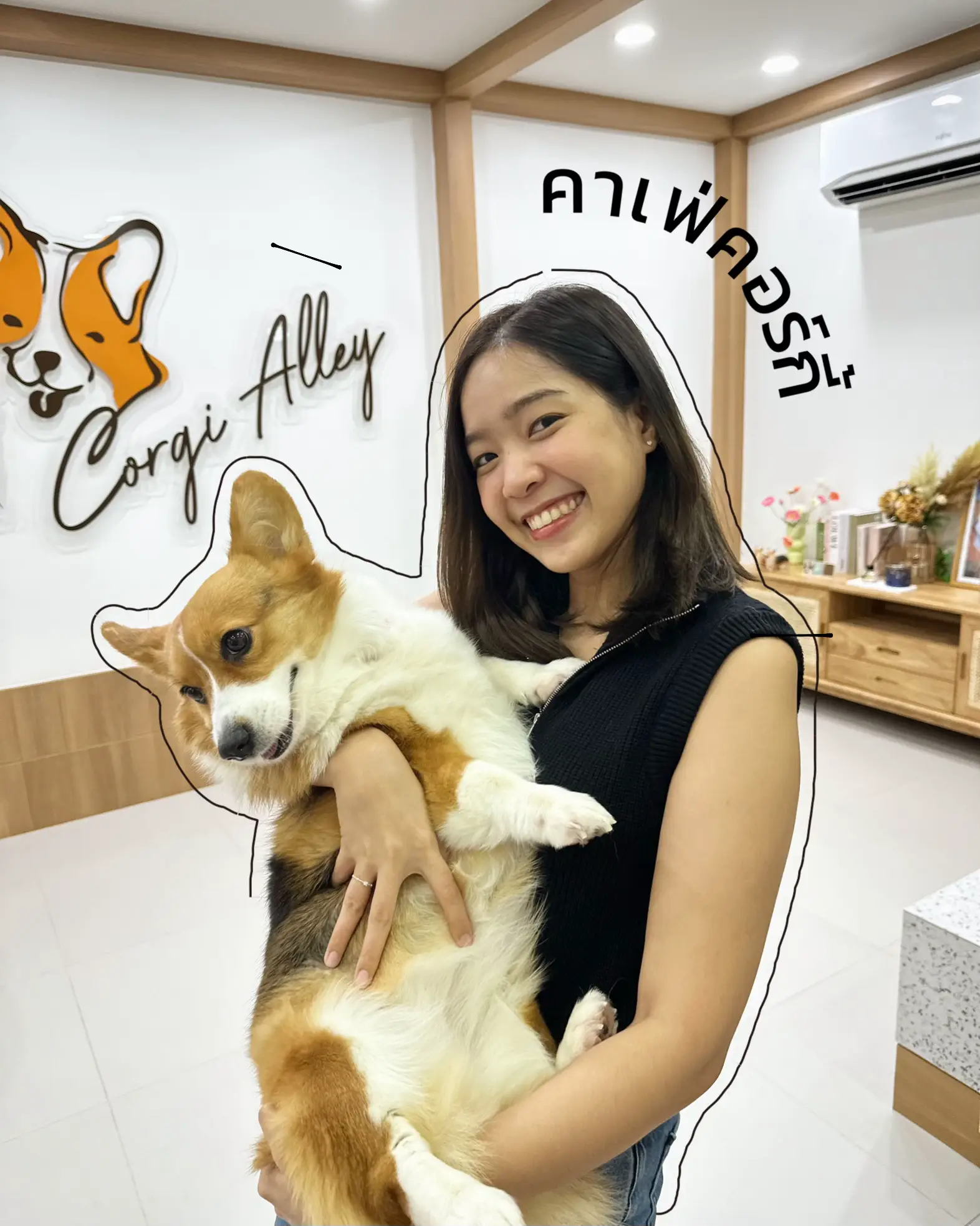 ร้านคาเฟ่น้องหมาคอร์กี้ Corgi Alley ย่านอ่อนนุช | แกลเลอรีที่โพสต์โดย Baimonji🌷 | Lemon8