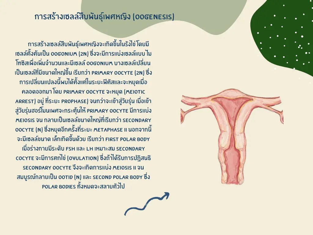 ความหลากหลายของระบบนิเวศ - การค้นหาใน Lemon8